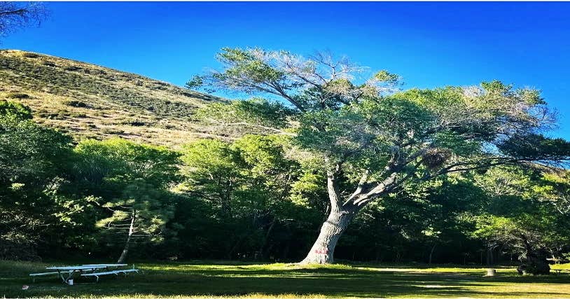 Banner Ranch Julian Camping | Julian, California