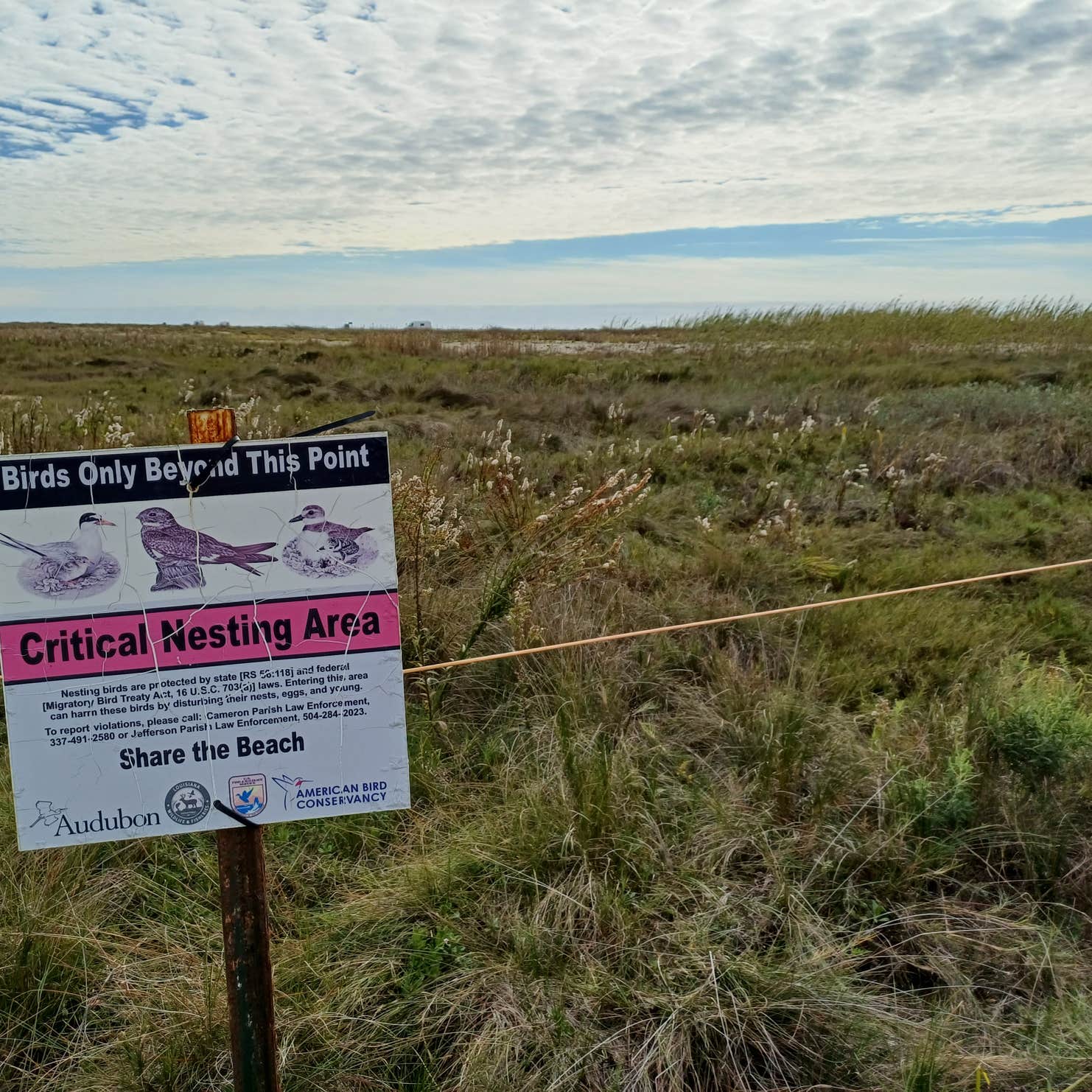 Rutherford Beach Dispersed Camping | Cameron, Louisiana