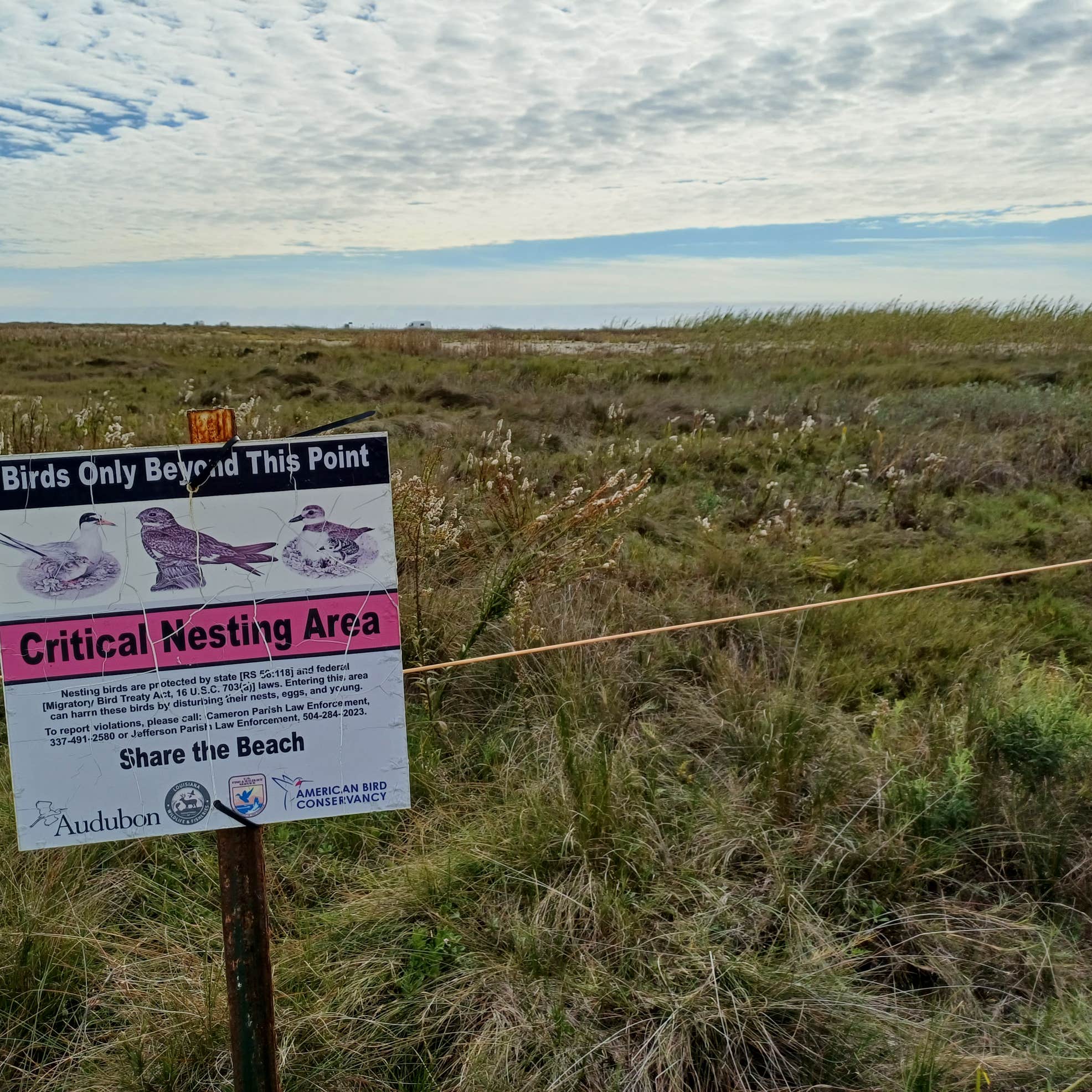 Rutherford Beach Dispersed Camping | Cameron, Louisiana