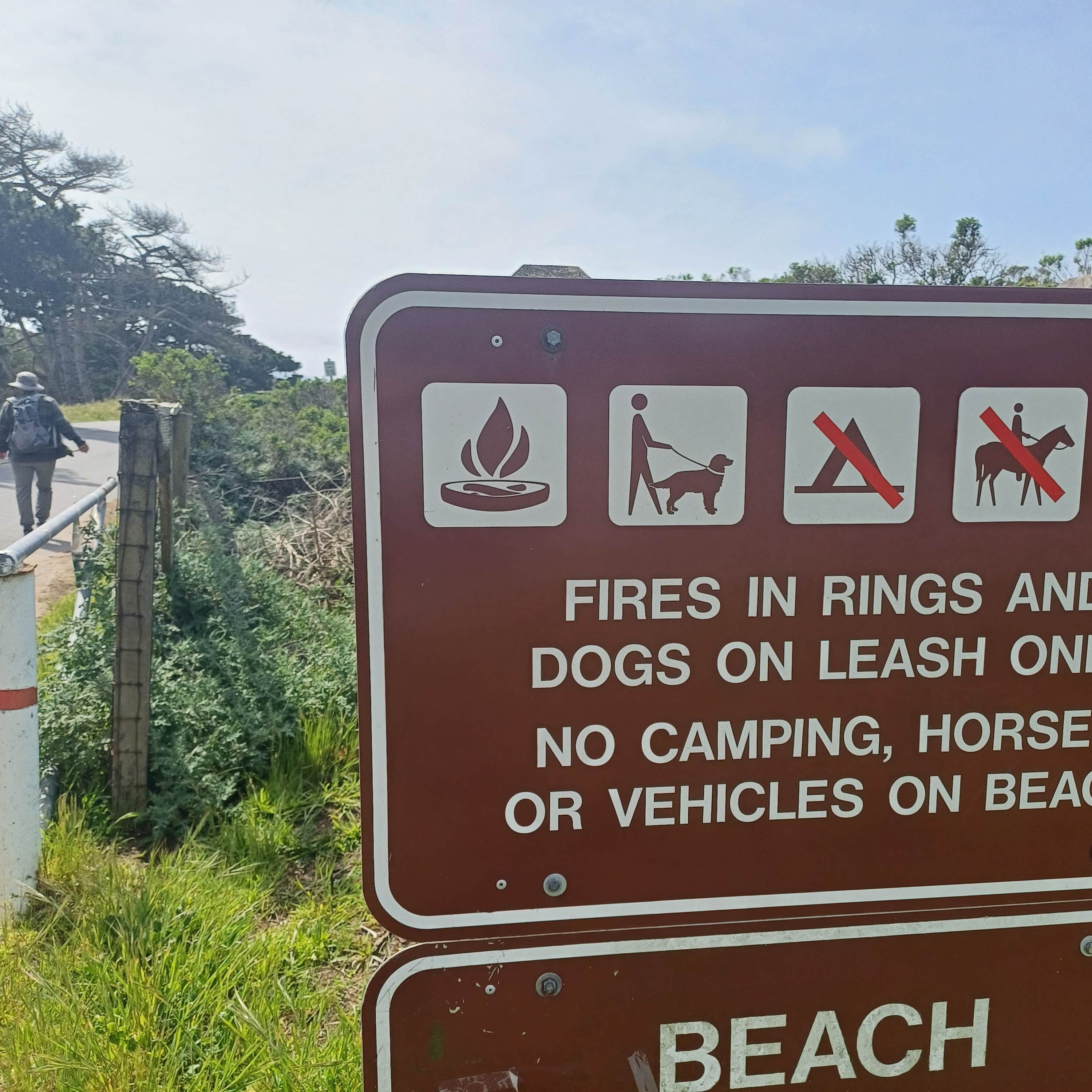 Sunset State Beach Campground | Watsonville, California