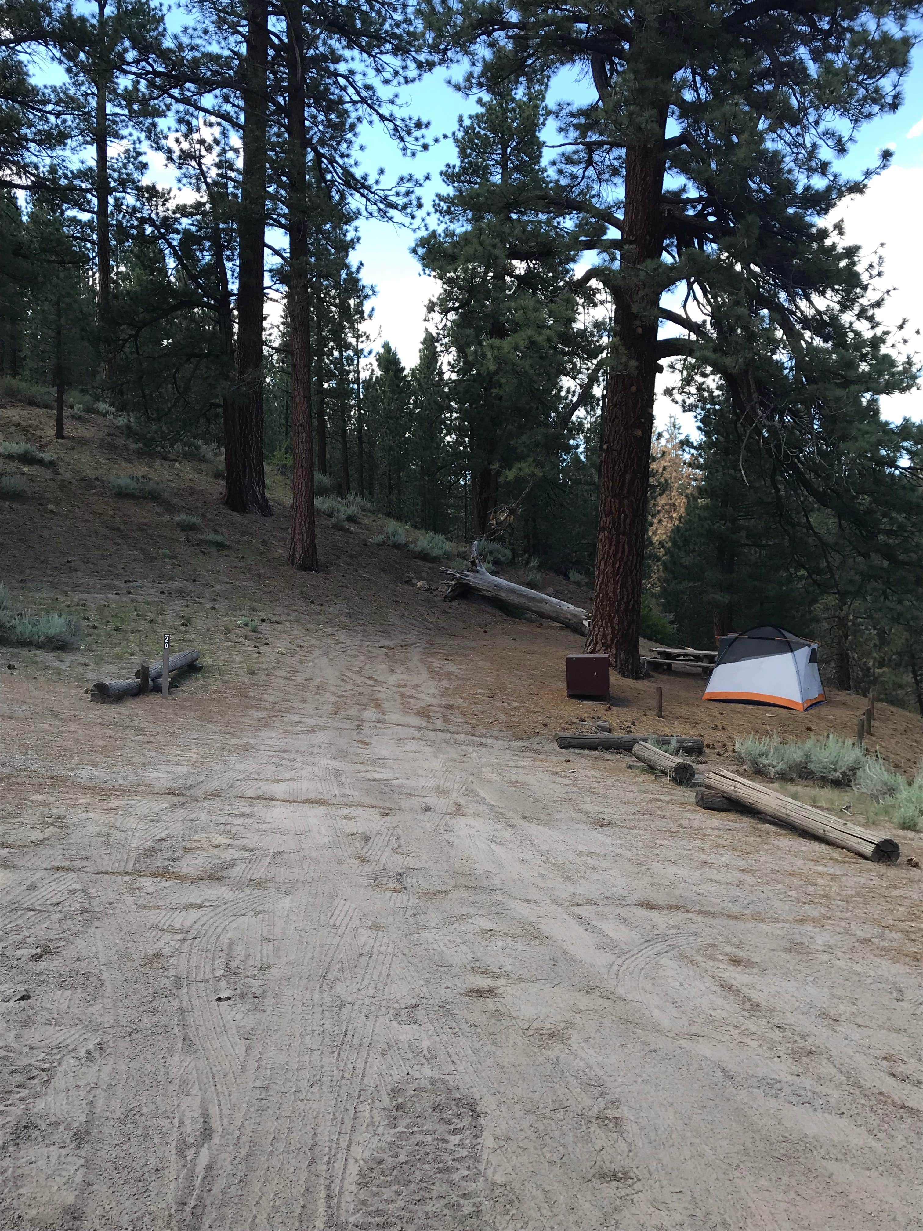 Big Springs Campground Camping | The Dyrt