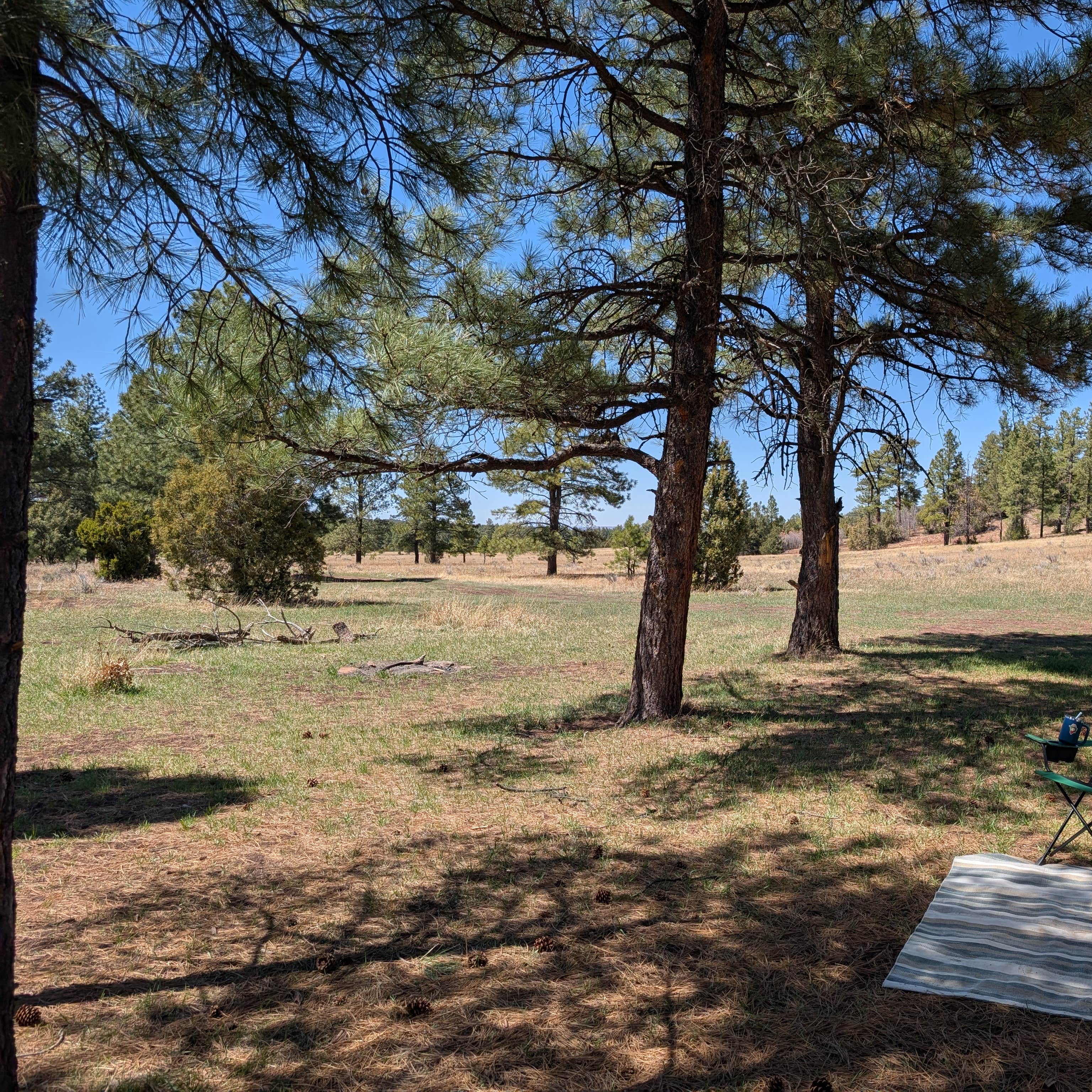 Turkey Springs Camping | Fort Wingate, New Mexico
