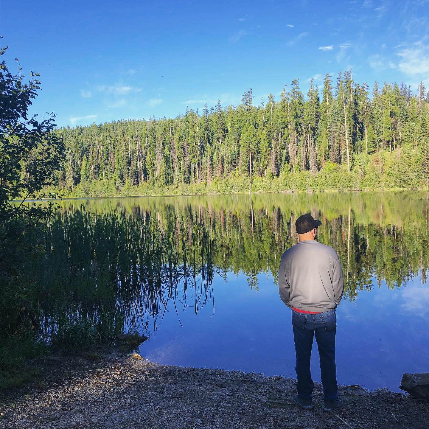 Davis Lake Campground Camping | The Dyrt