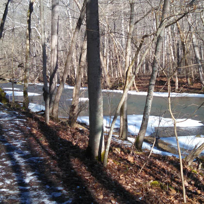 John Bryan State Park Camping | The Dyrt