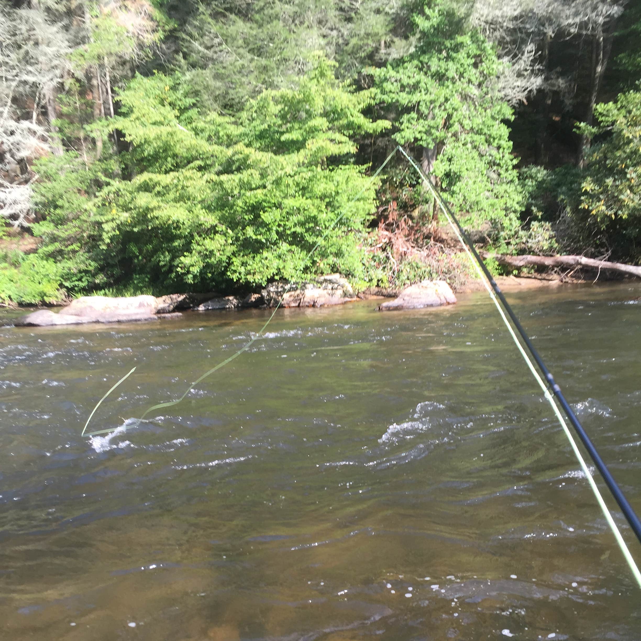 Sandy Bottoms Recreation Area Campground (Clayton, Ga) — Chattahoochee ...