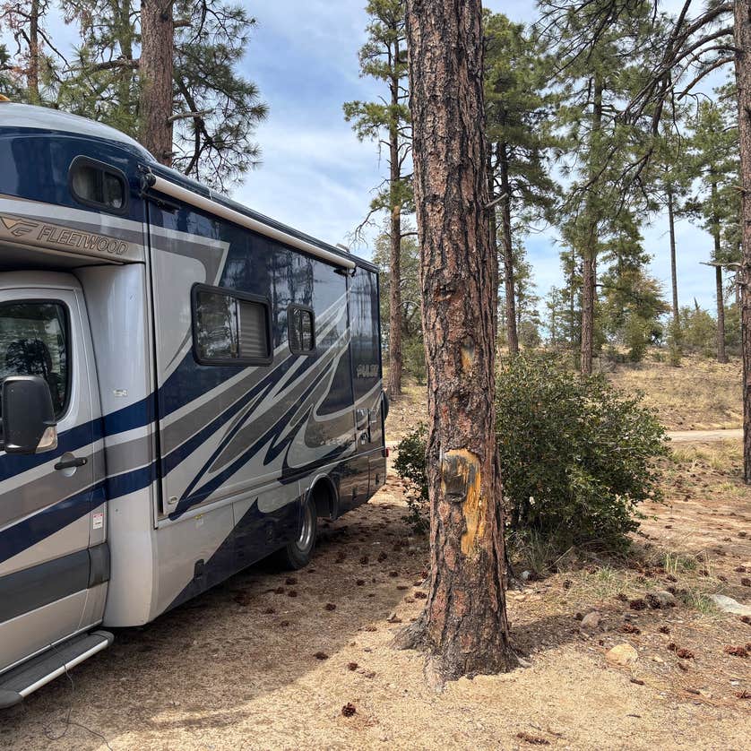Thumb Butte Loop Campsites | Prescott National Forest, Arizona
