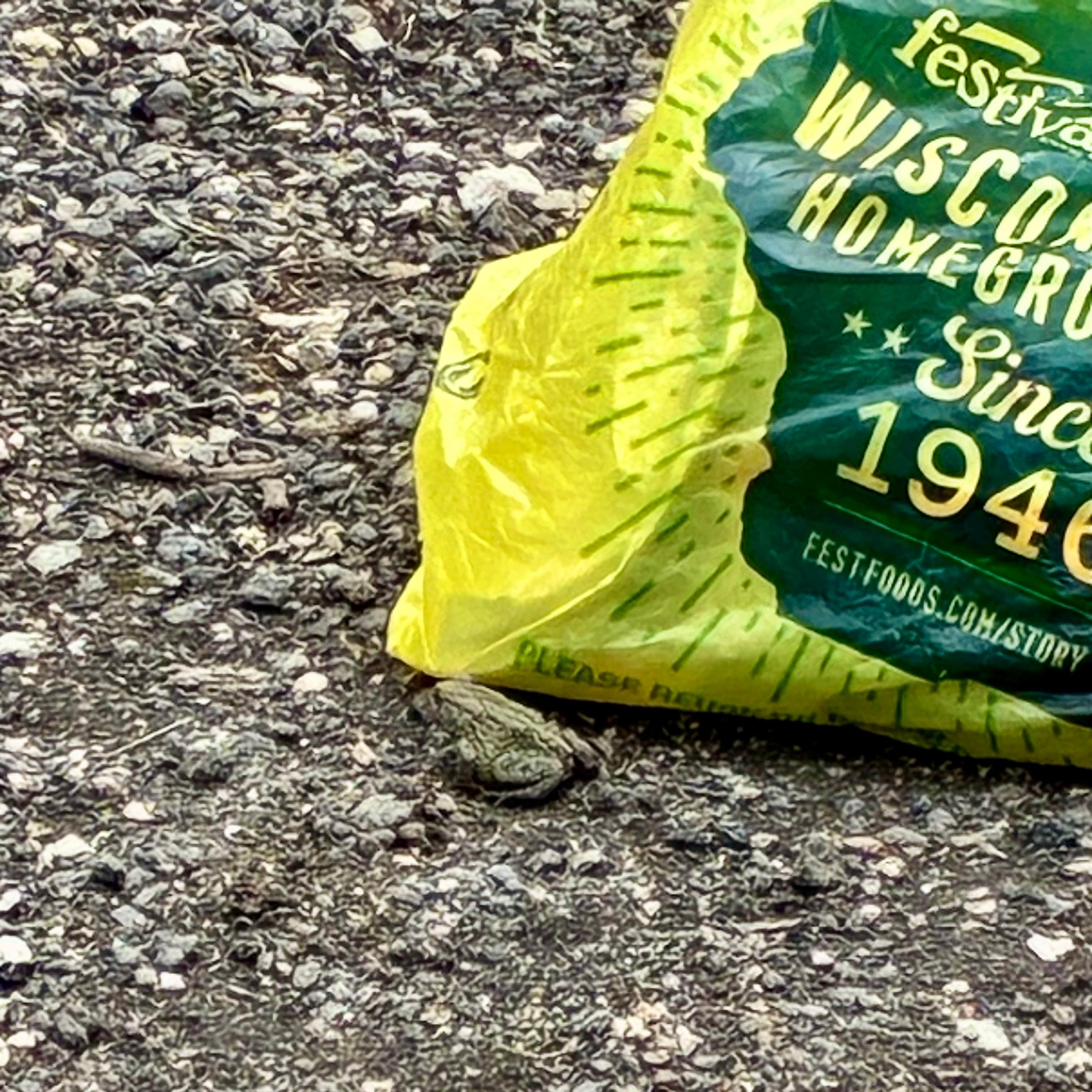 Ledge County Park Camping | Horicon, Wisconsin