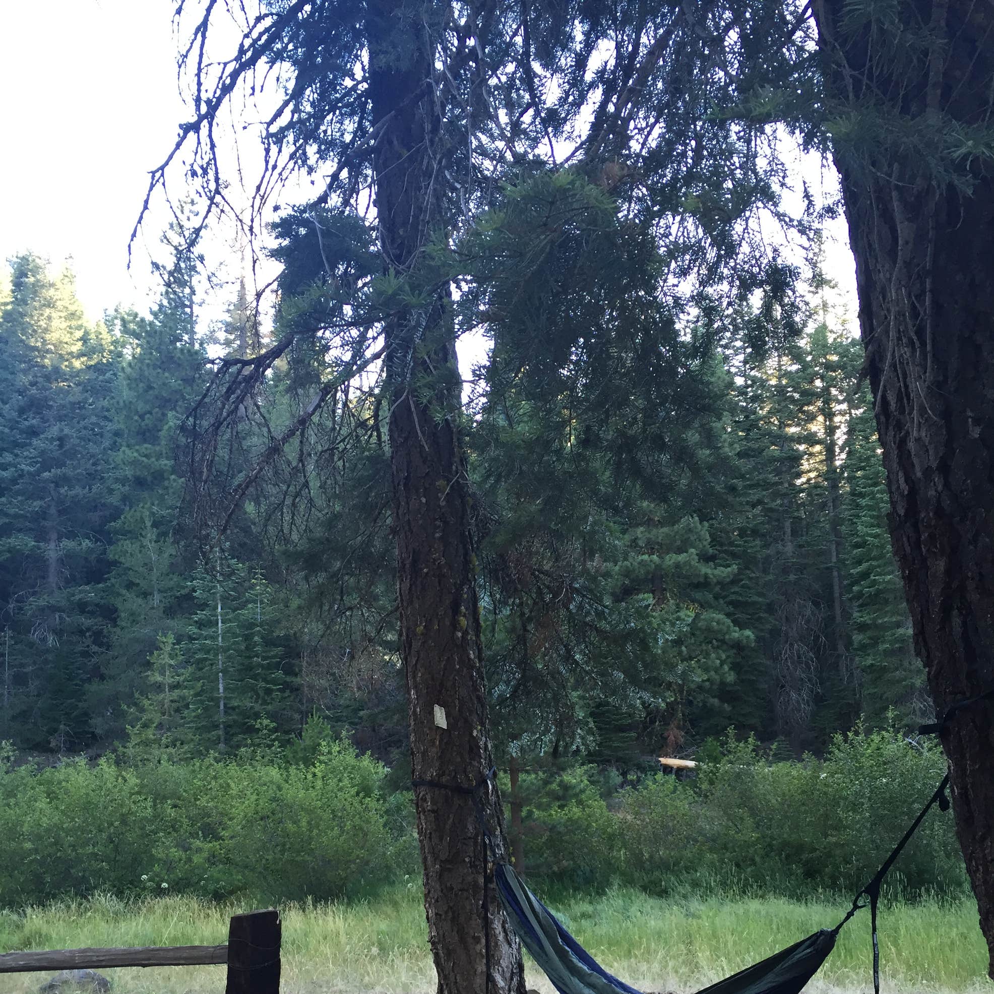 Soldier Meadows Campground | Chester, California