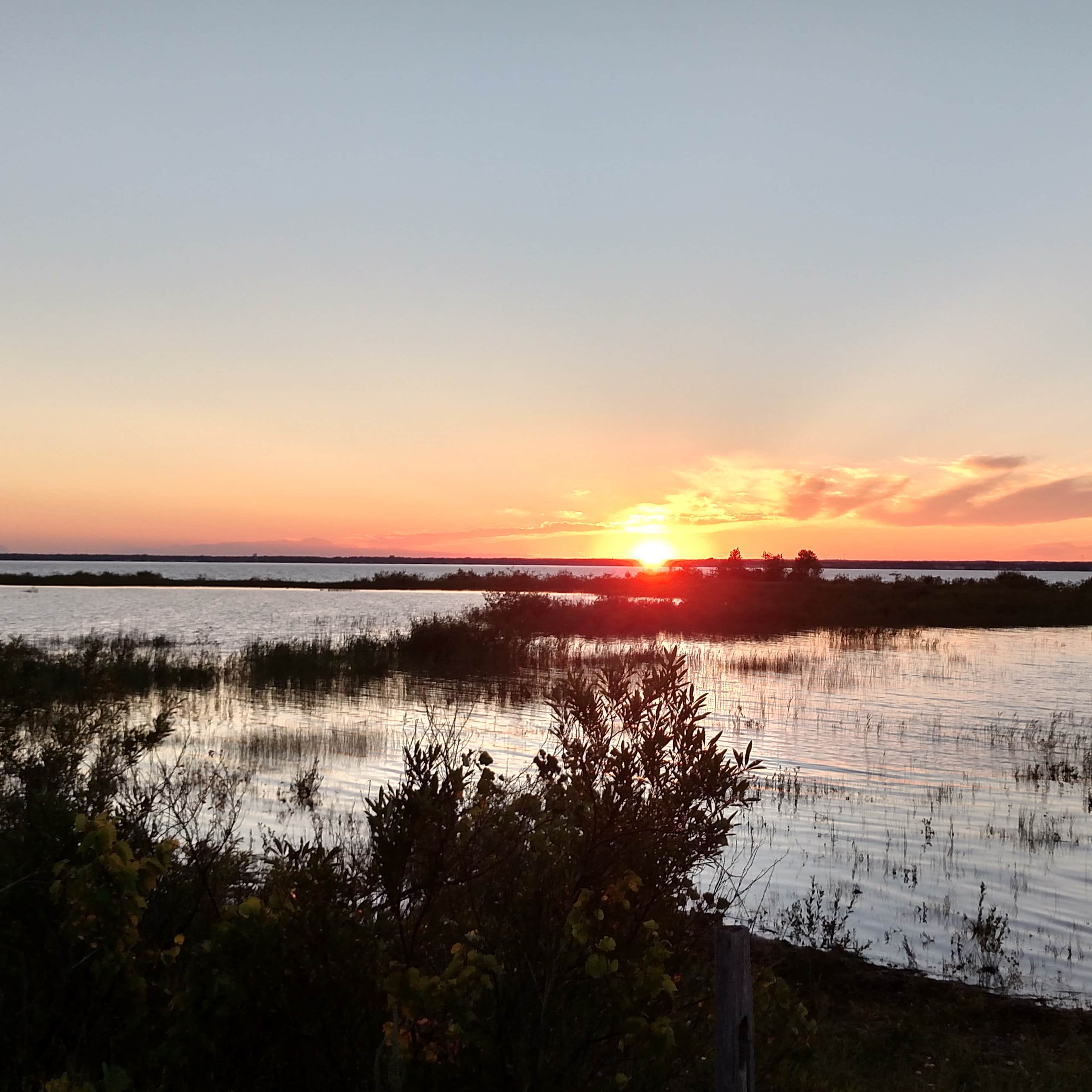 Tawas Point State Park Camping | The Dyrt