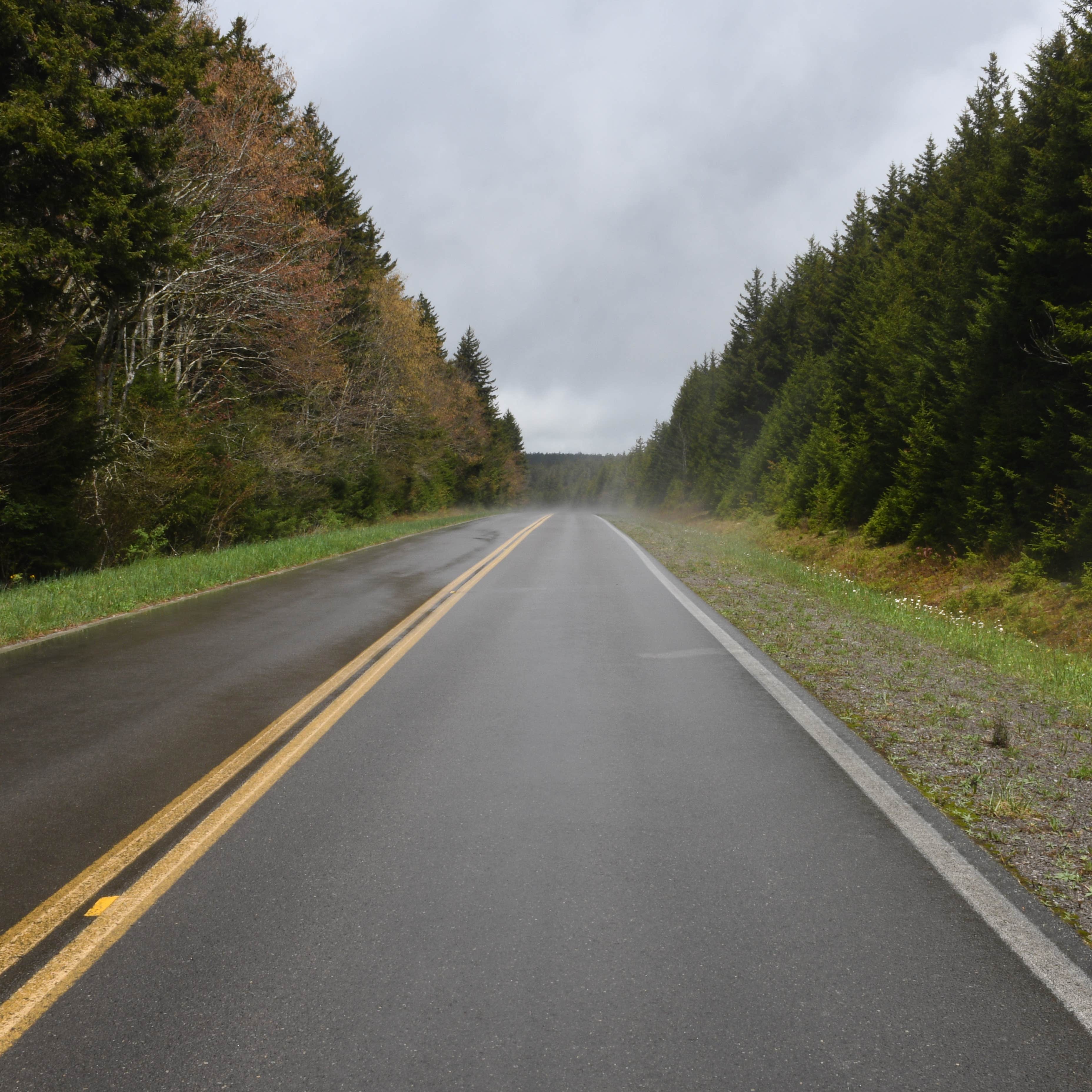 Riverside Campground — Watoga State Park | Hillsboro, West Virginia