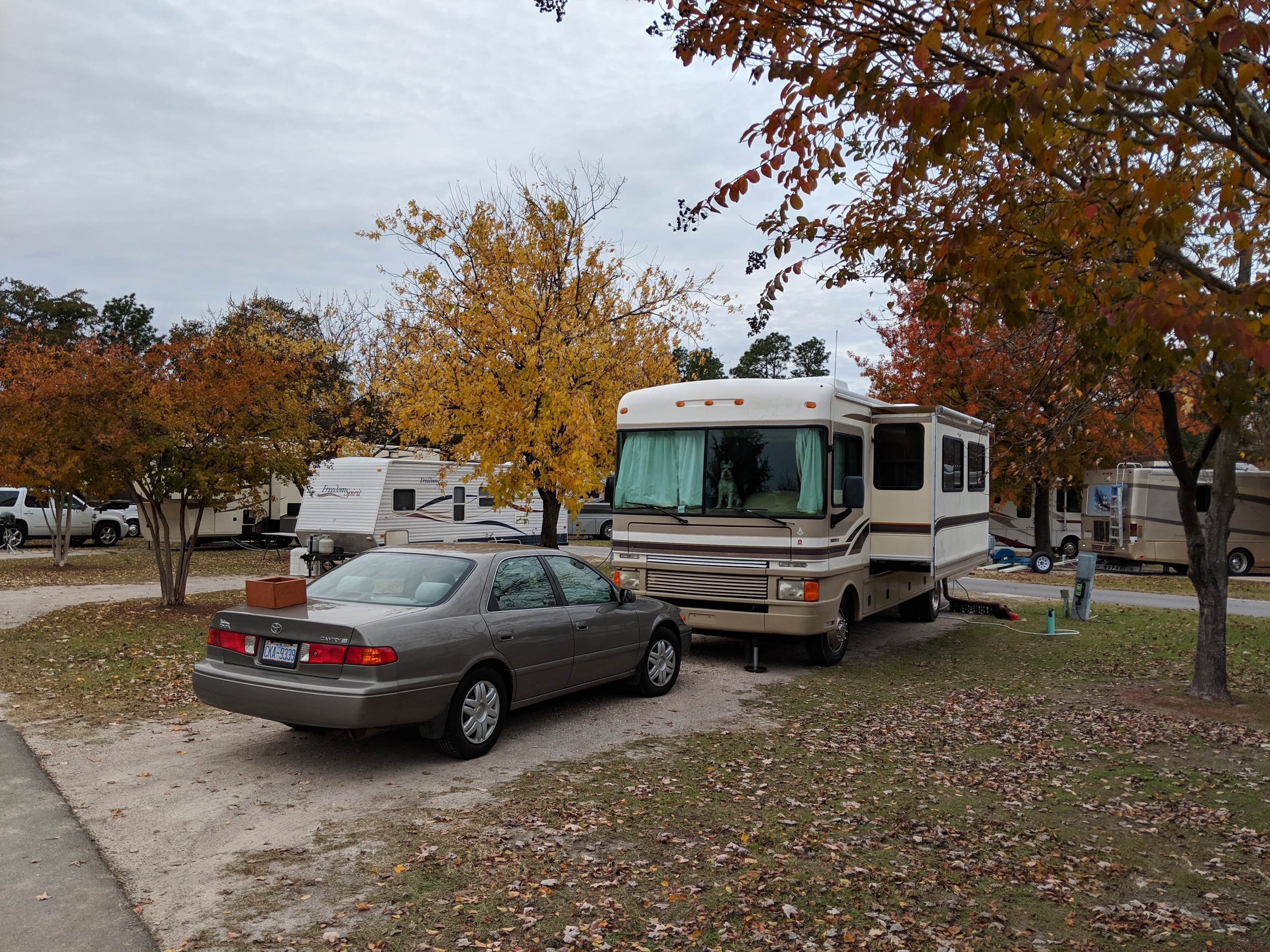 Barnyard RV Park Camping | The Dyrt