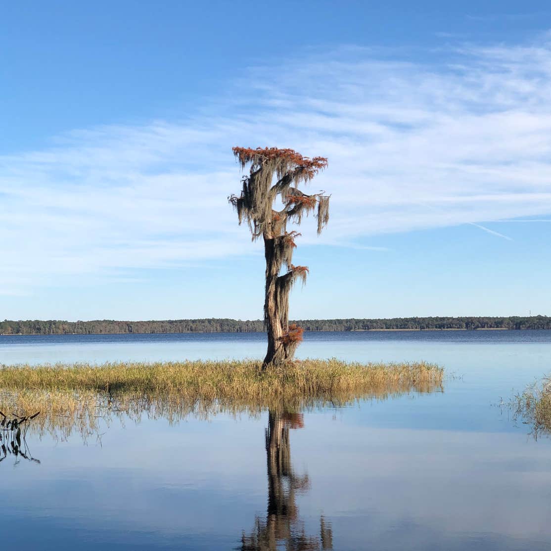 Osceola National Forest Hog Pen Landing Campground | Olustee, Florida