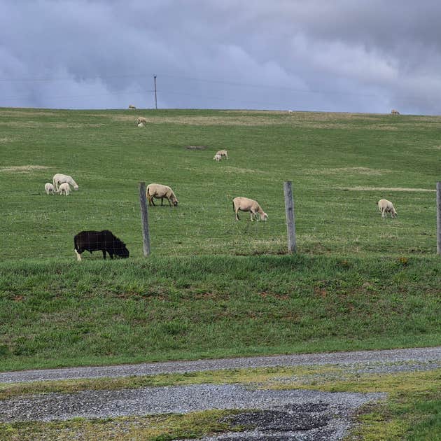 Fort Chiswell RV Park | Max Meadows, Virginia