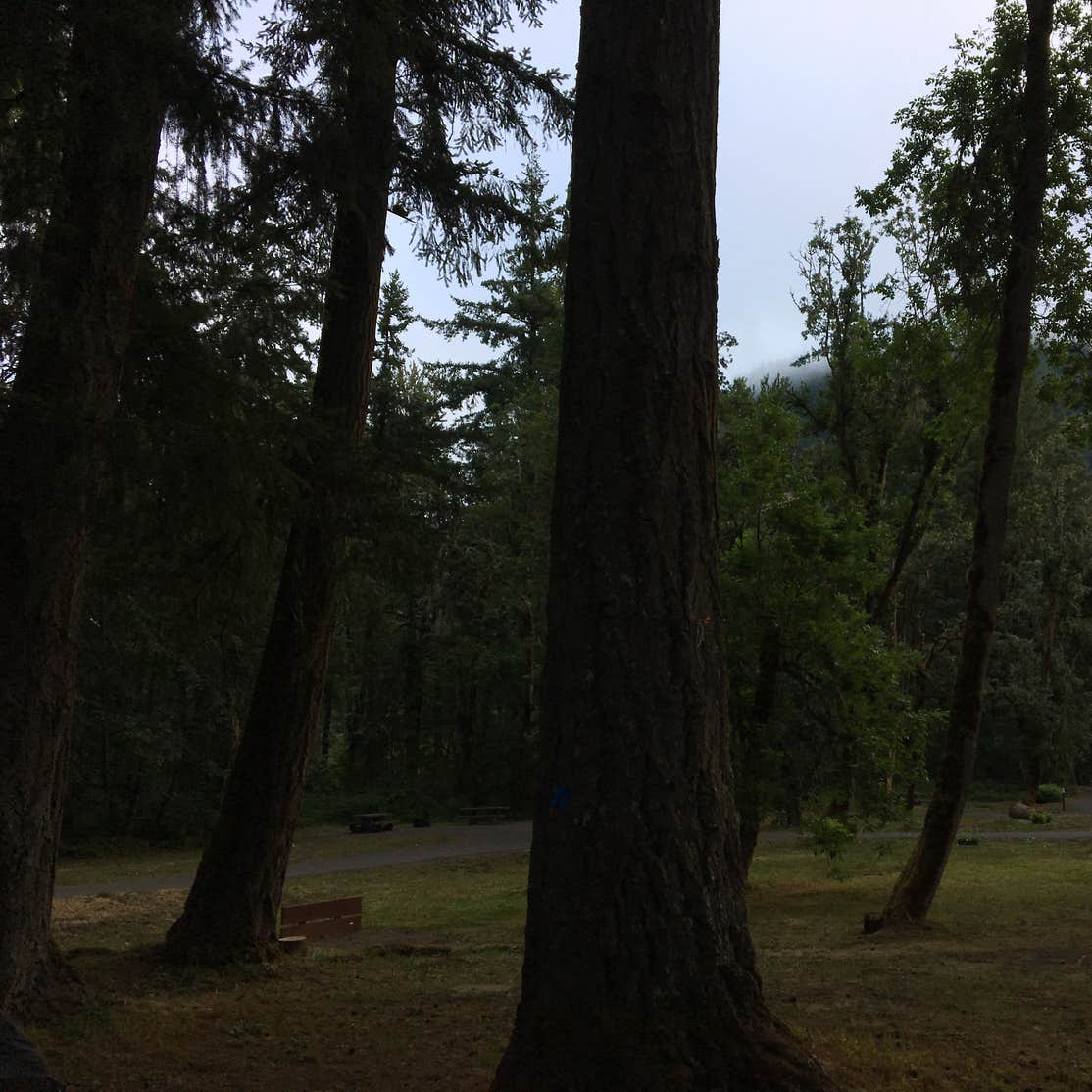 COE Dorena Reservoir Schwarz Campground | Cottage grove, OR