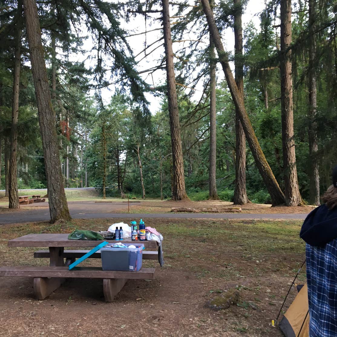 COE Dorena Reservoir Schwarz Campground | Cottage grove, OR