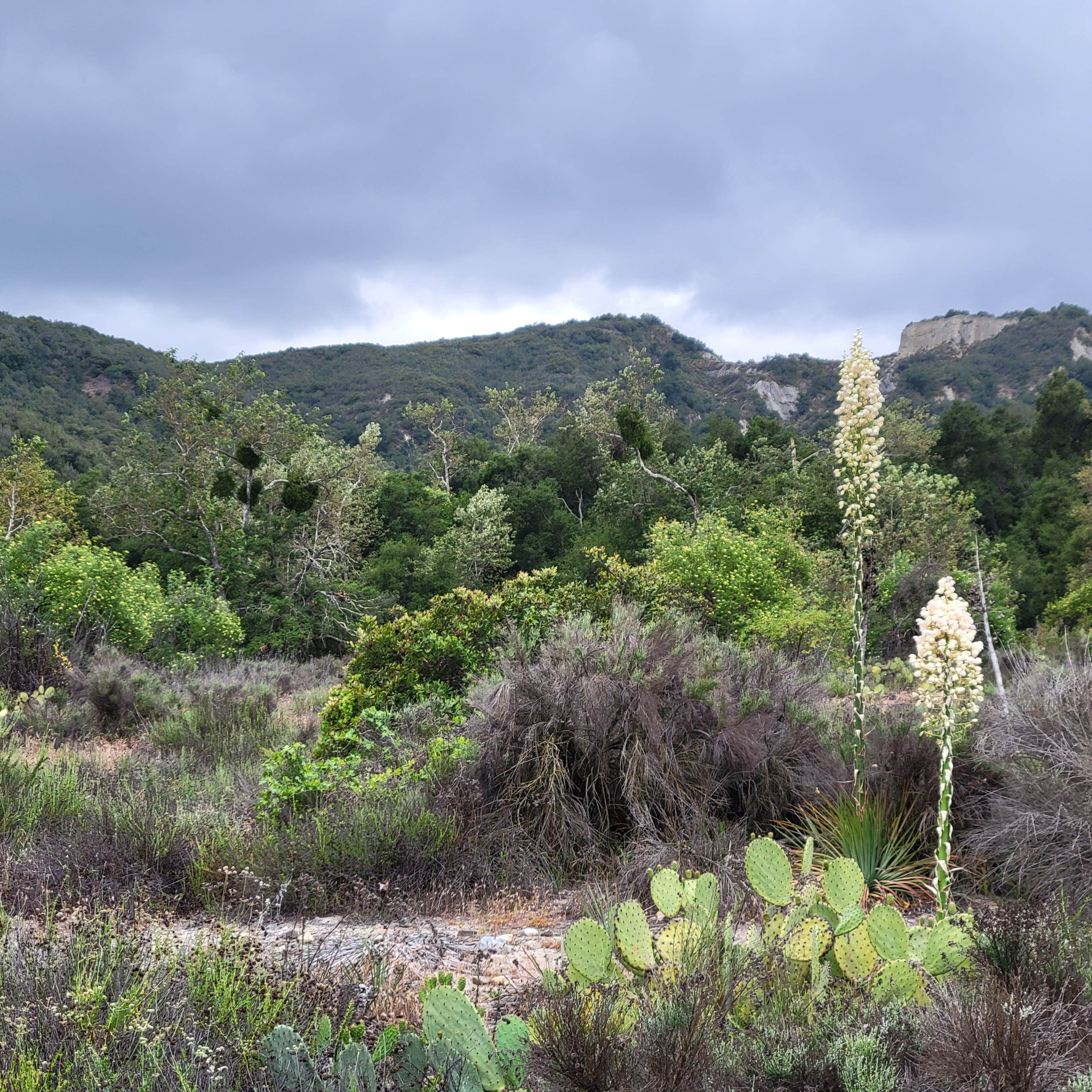 Ronald W. Caspers Wilderness Park Camping | Coto de Caza, California