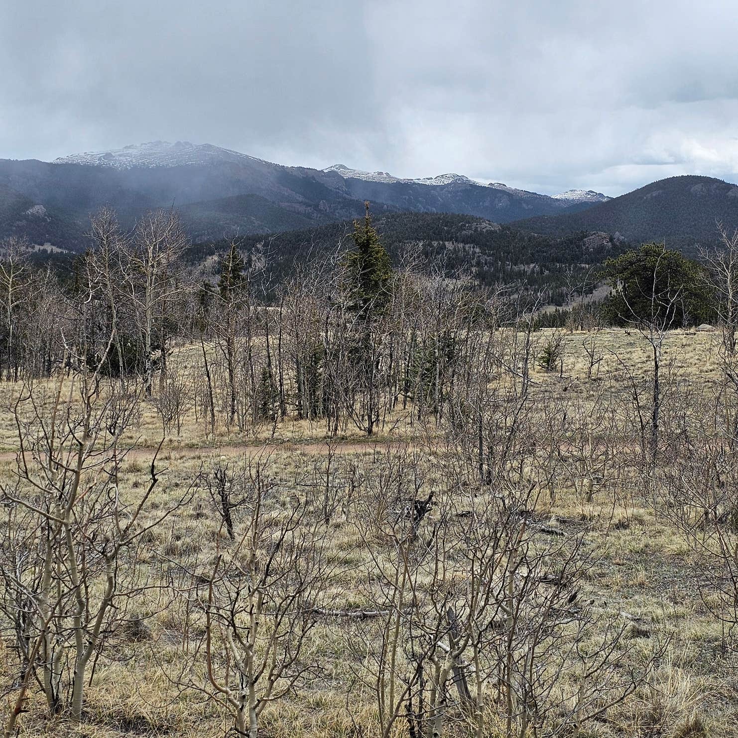 Rock Creek Hills Road Camping | Jefferson, Colorado