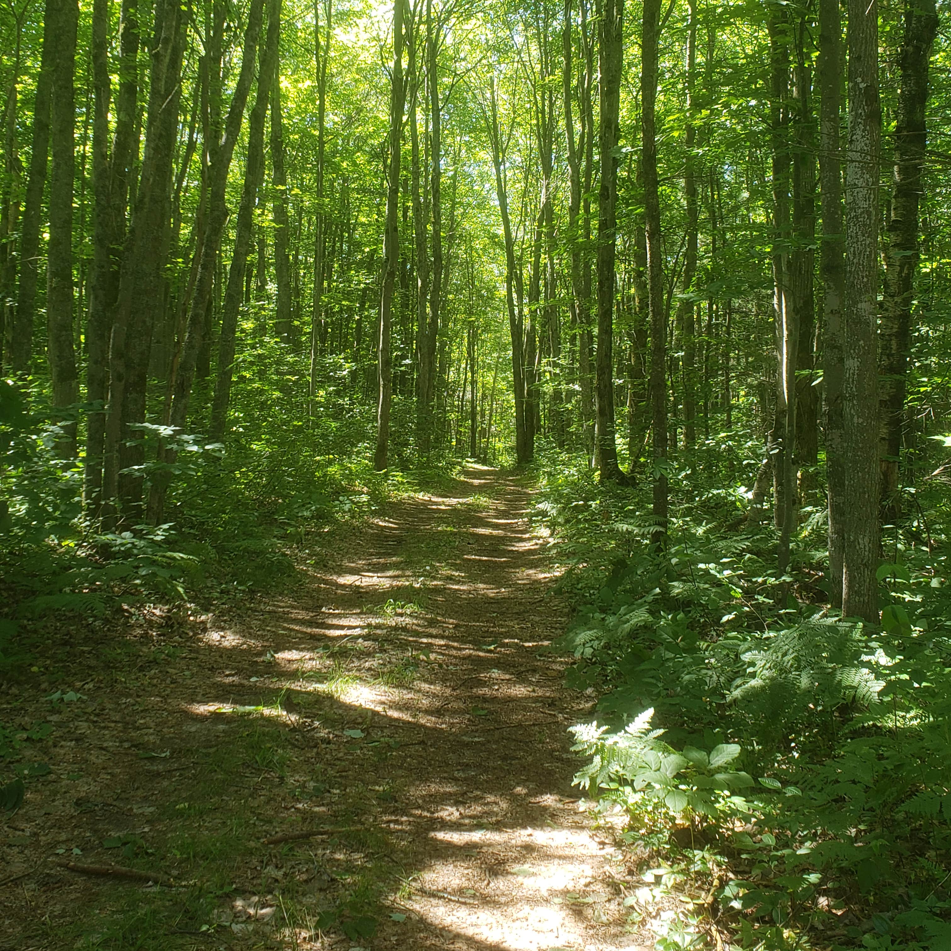 Otsego Lake State Park Camping | The Dyrt