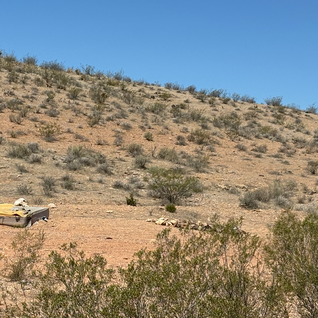 Mount Trumbull Loop Dispersed Camping | St. George, Utah
