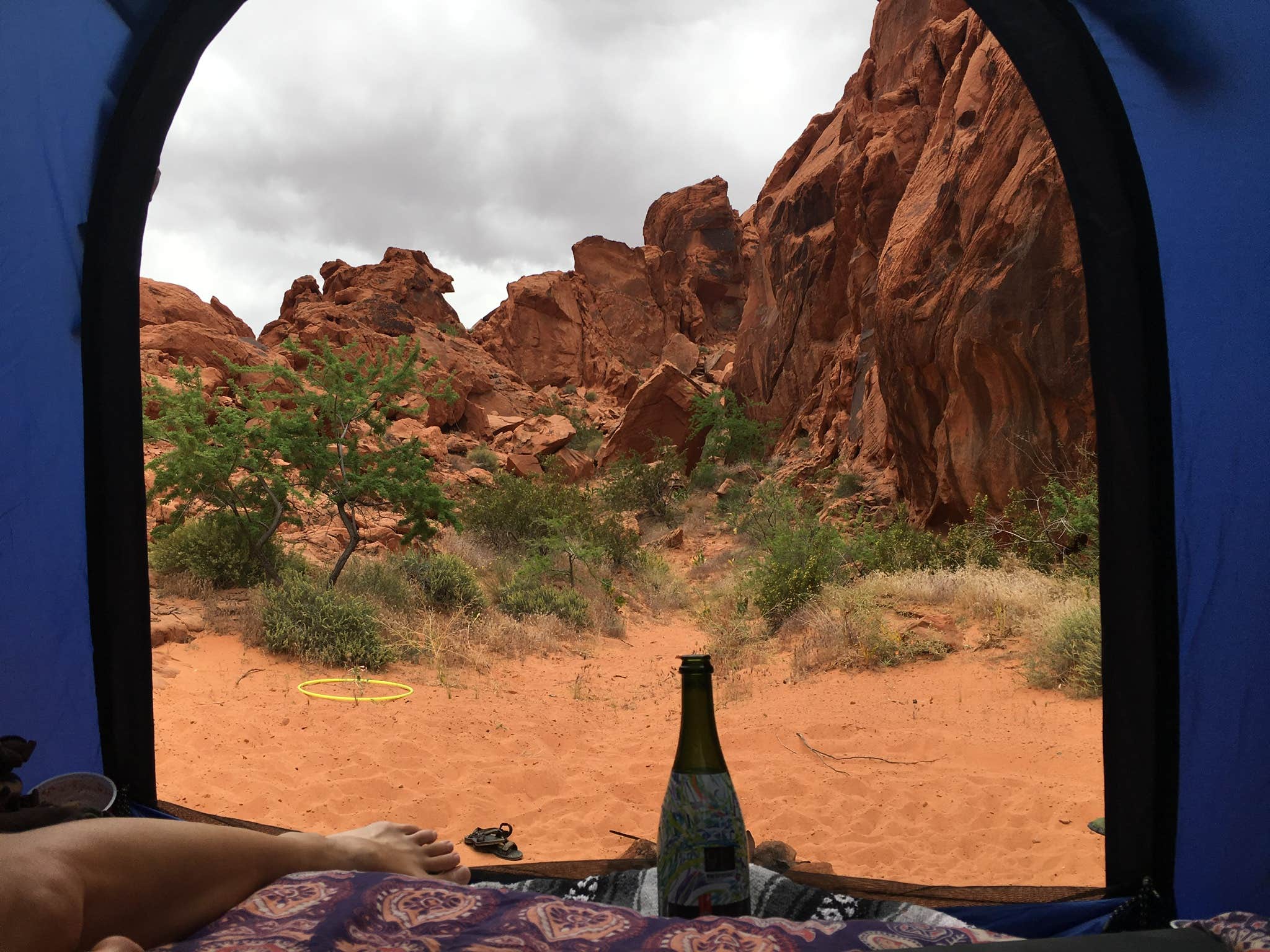 BLM Logandale Trails System Primitive Camping | Logandale, NV