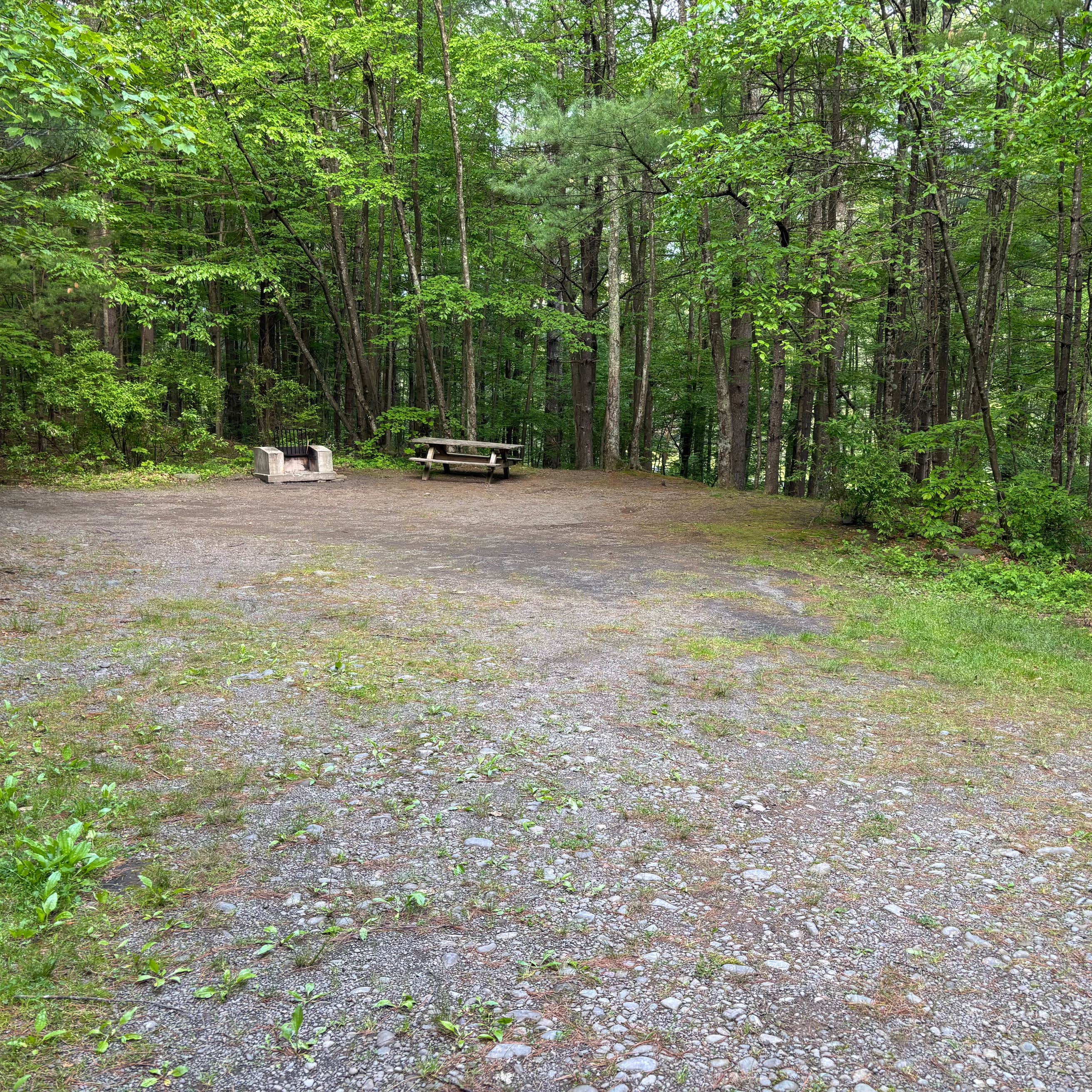 Catskill/Kenneth L Wilson Campground | Shokan, New York
