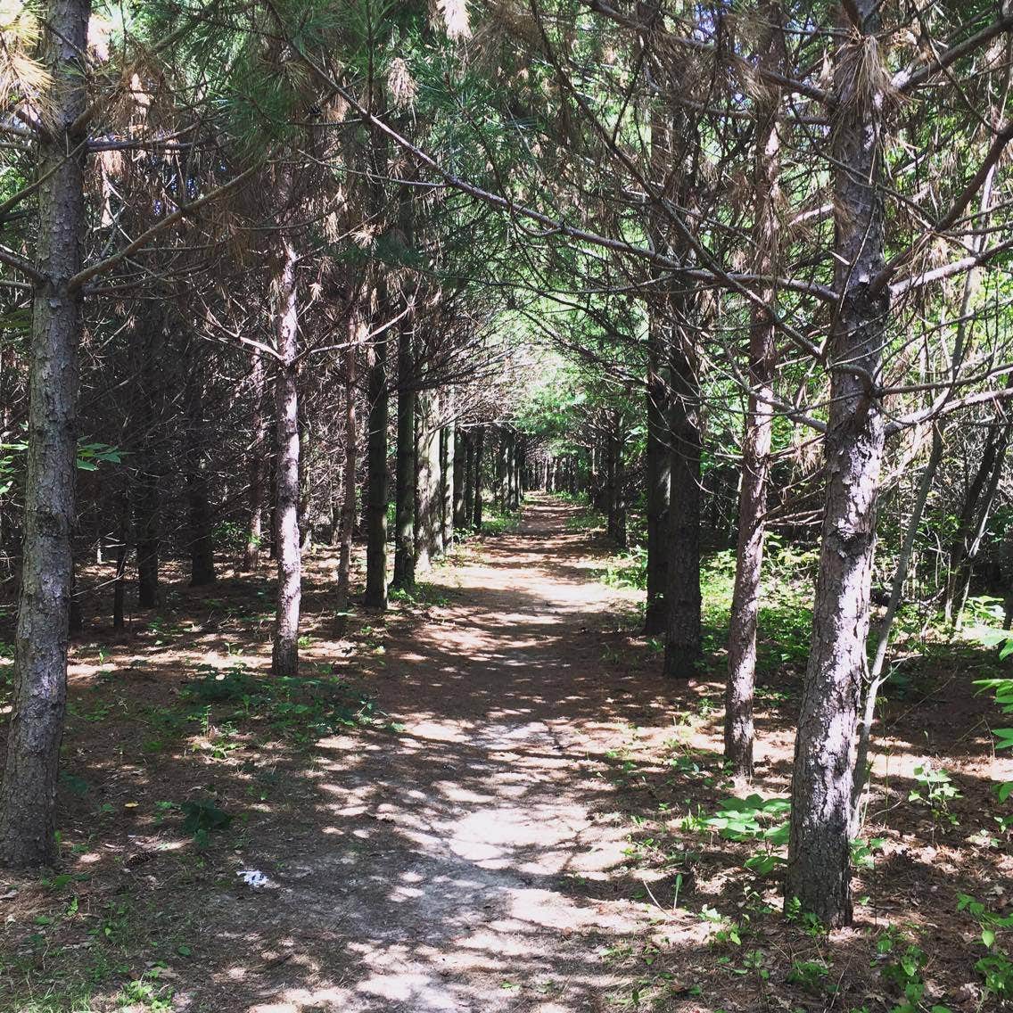 Kettle Moraine South Camping — Kettle Moraine State Forest-Southern ...