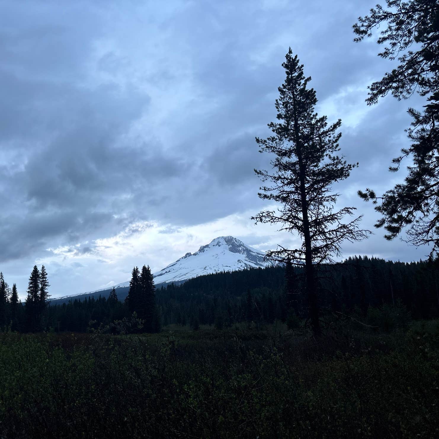 Trillium Lake Airstrip Dispersed Camping | Government Camp, Oregon