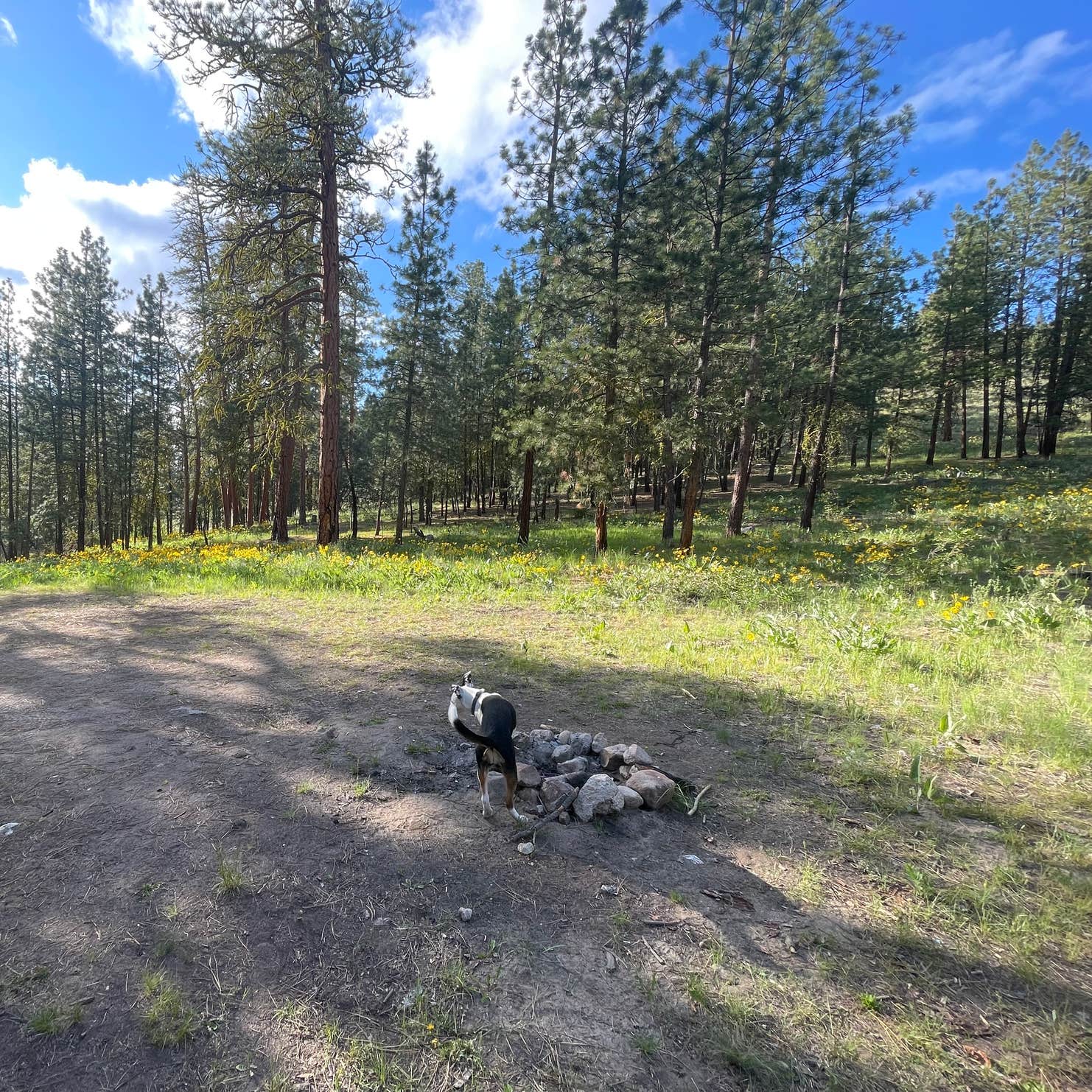 Sullivan Pond Camp | Winthrop, Washington