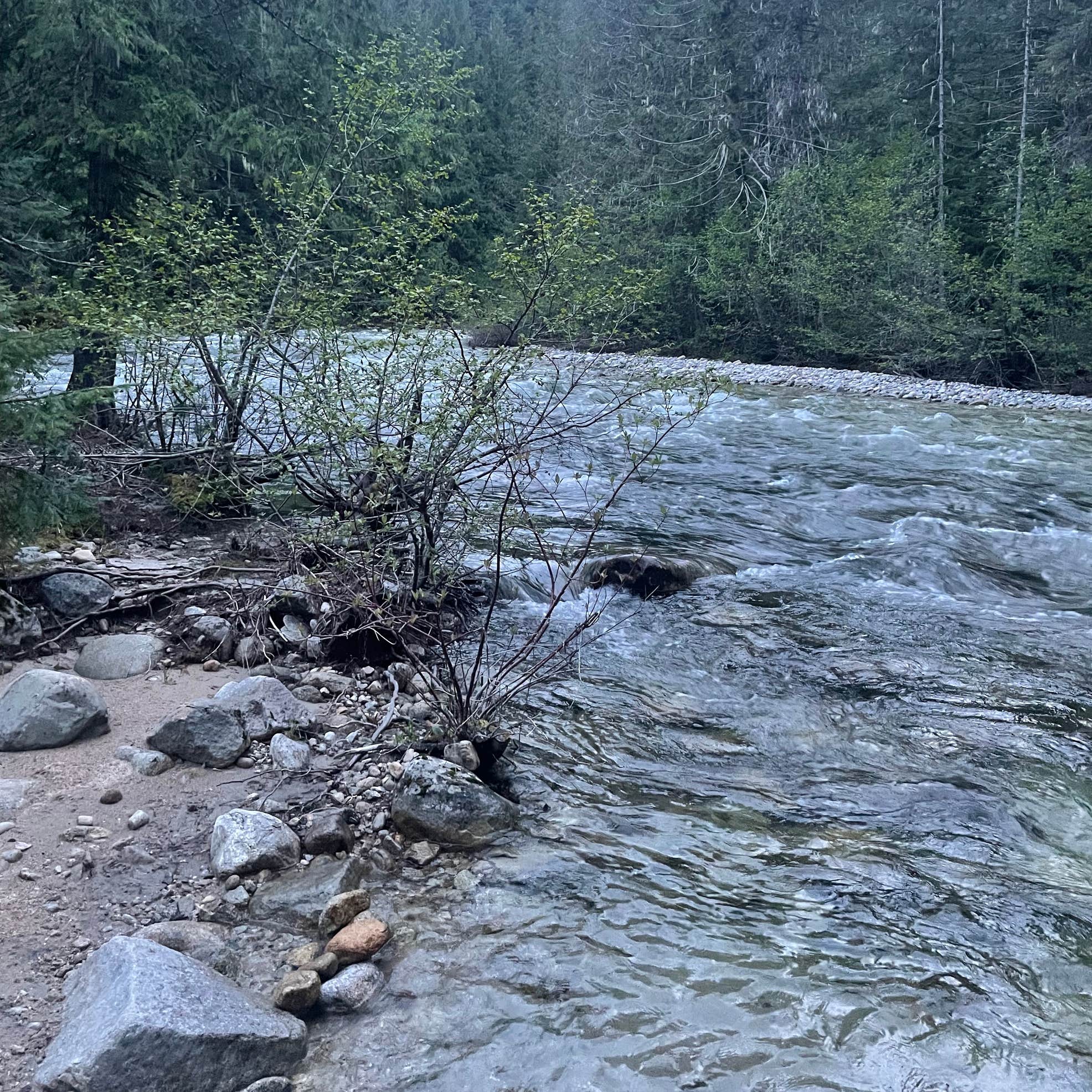 Pack River Dispersed Site Camping | Naples, Idaho