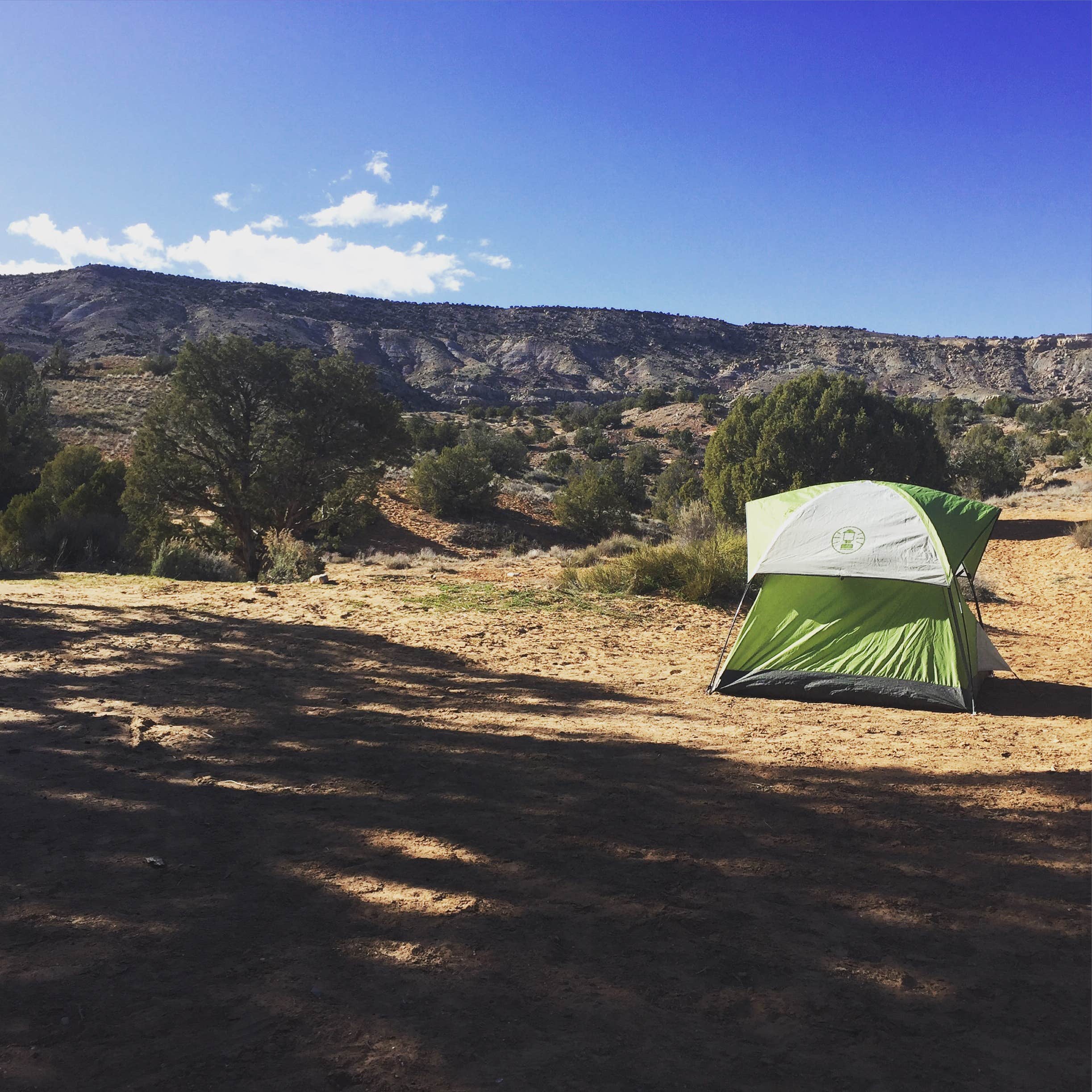 Rabbit Valley — Mc Innis Canyons National Conservation Area Camping ...