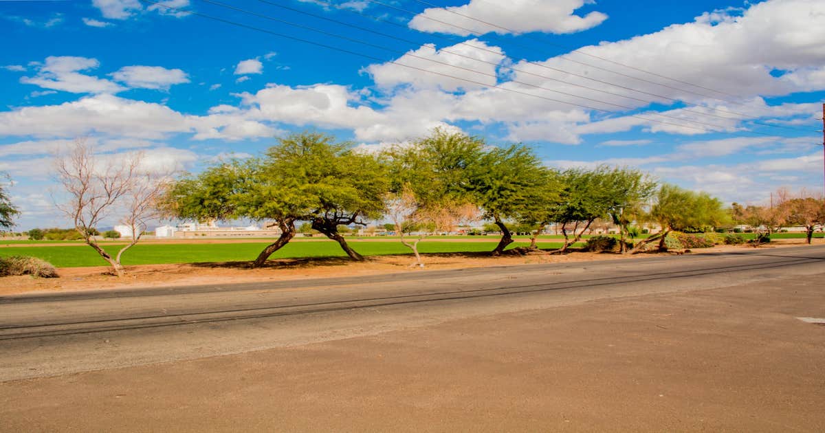 Garden Oasis RV Park | Winterhaven, California