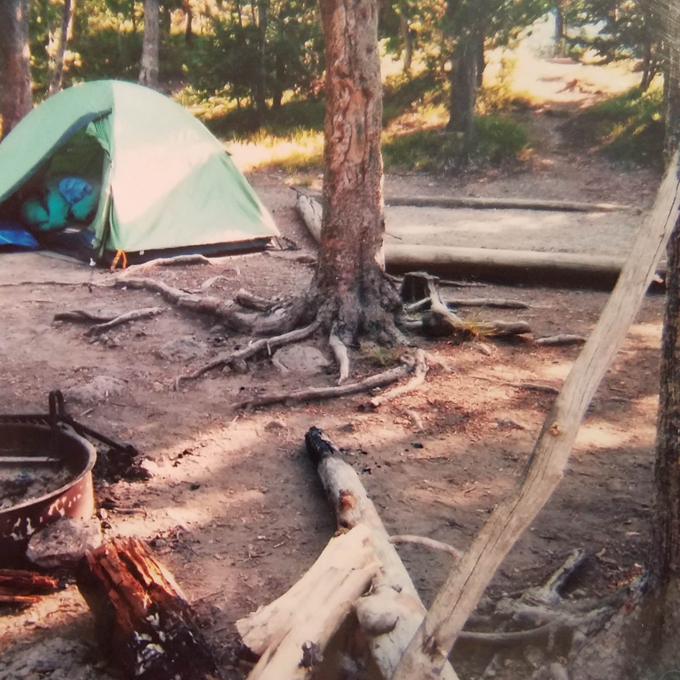 Complete Guide to Camping in Yellowstone National Park