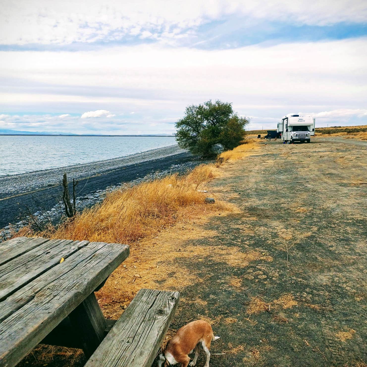 Perch Point Wild Camping Area | Moses Lake, Washington
