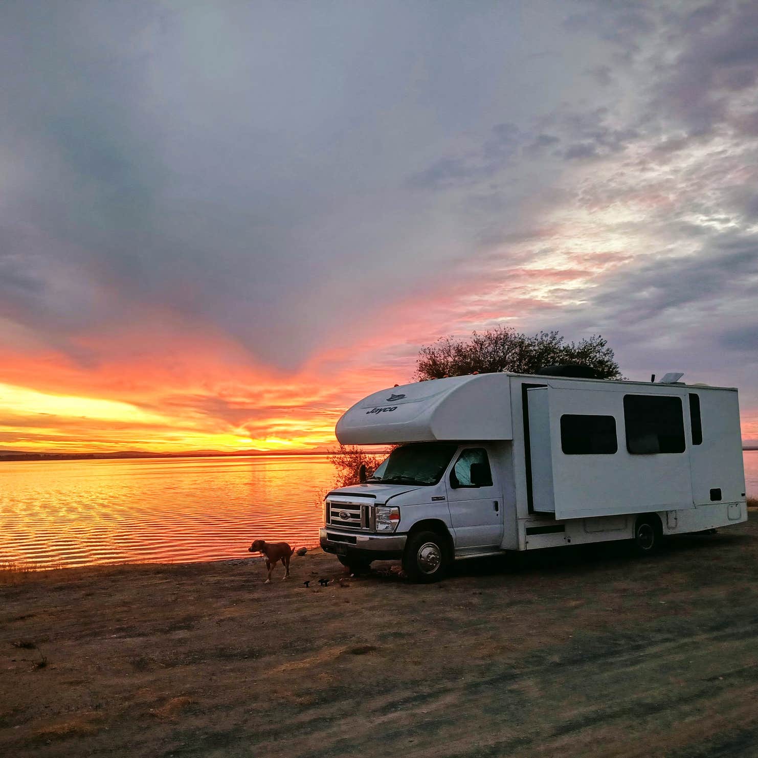 Perch Point Wild Camping Area | Moses Lake, Washington