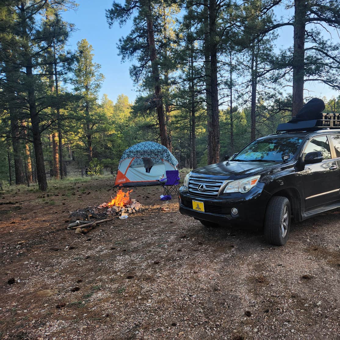 Jacob Lake 89A Dispersed Camping | Jacob Lake, Arizona