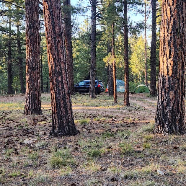 Jacob Lake 89A Dispersed Camping | Jacob Lake, Arizona