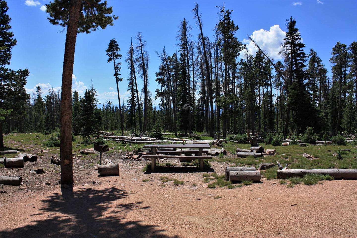 Spruce Mountain Fire Lookout Tower Camping | Laramie, WY