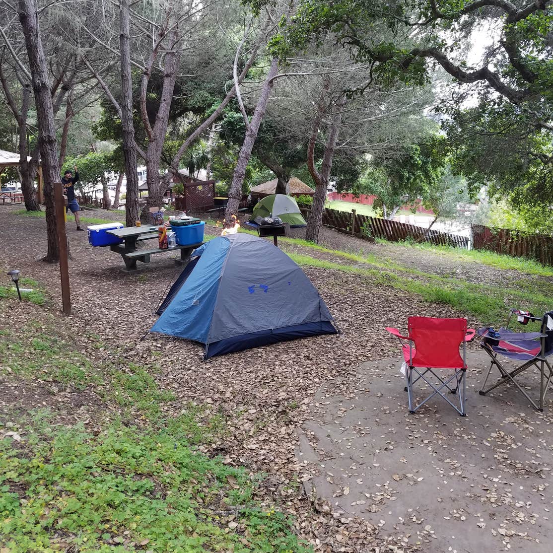 Saddle Mountain Camping | Carmel-by-the-Sea, California