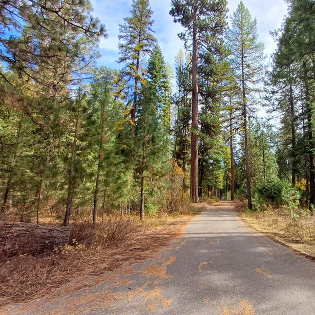 Wetmore Campground | Unity, Oregon