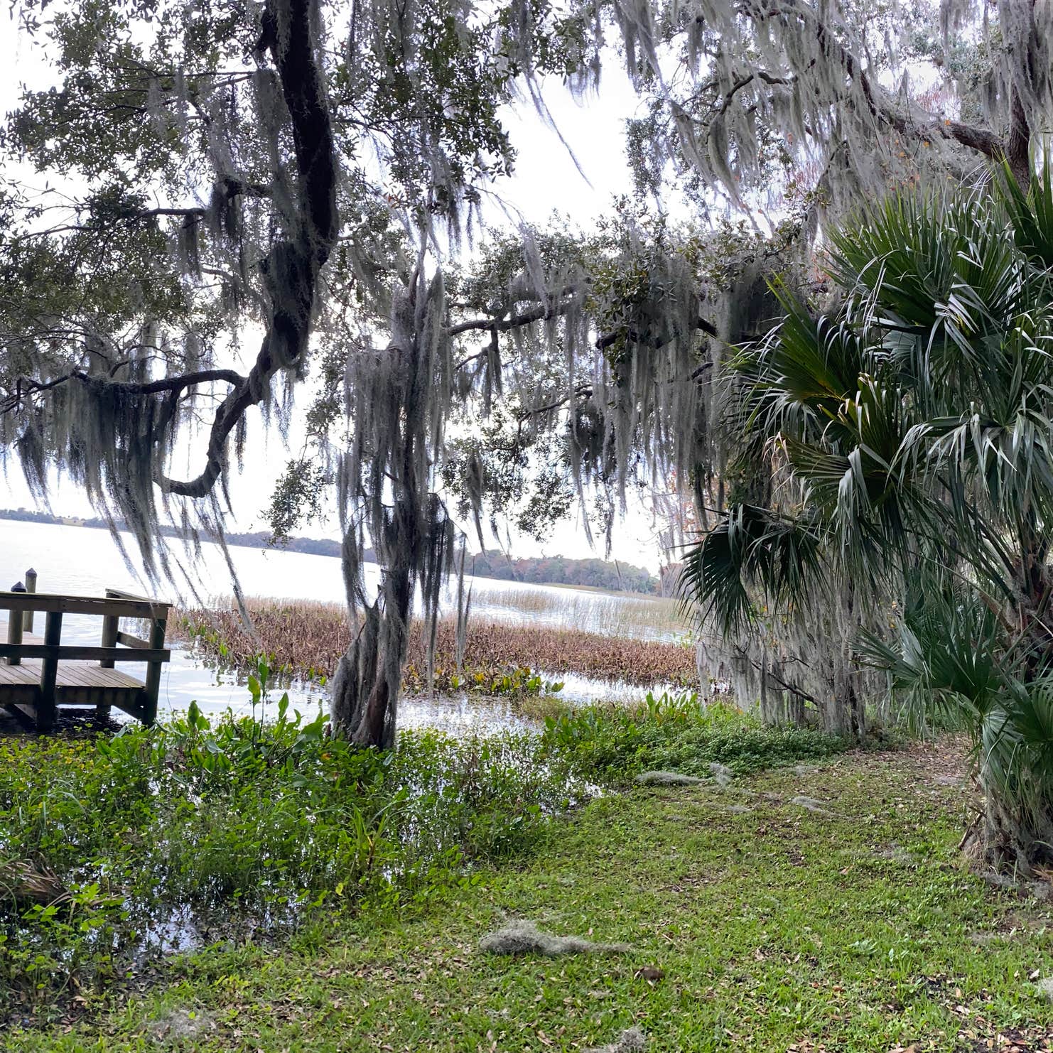 Trimble Park Campground | Mount Dora, Florida