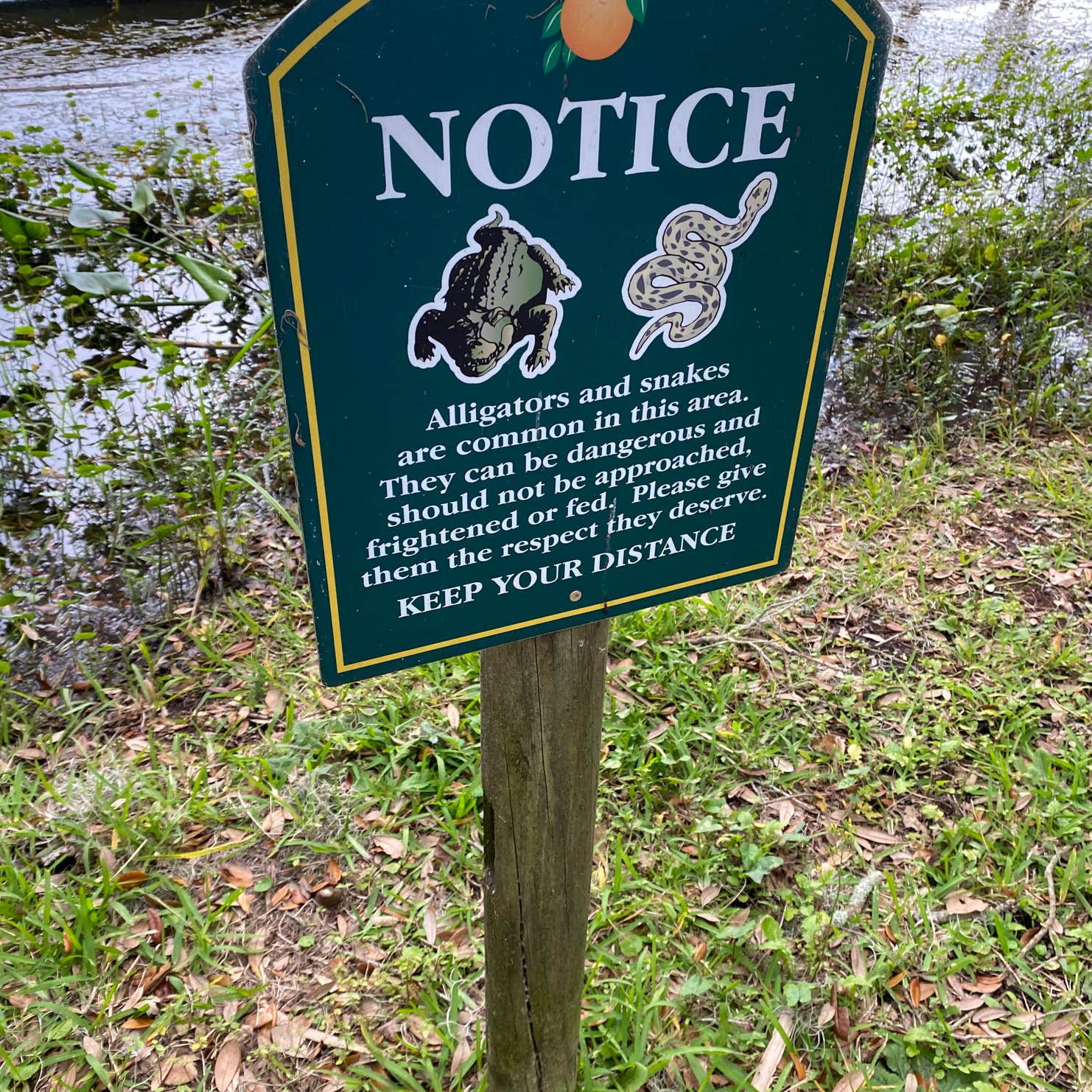 Trimble Park Campground | Mount Dora, Florida