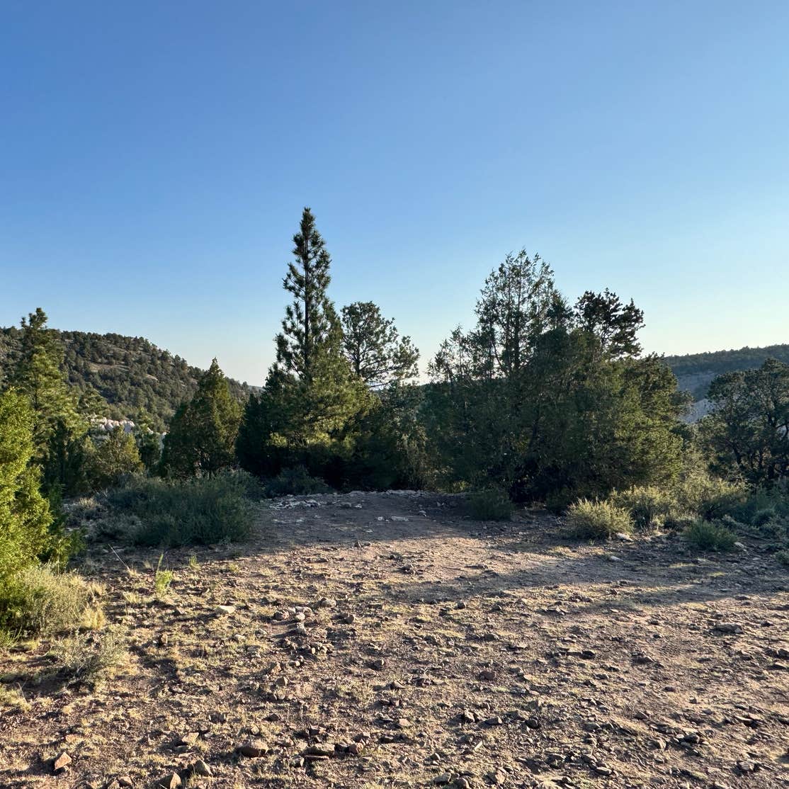 Dixie National Park at Panguitch FR1048 Camping | Panguitch, Utah