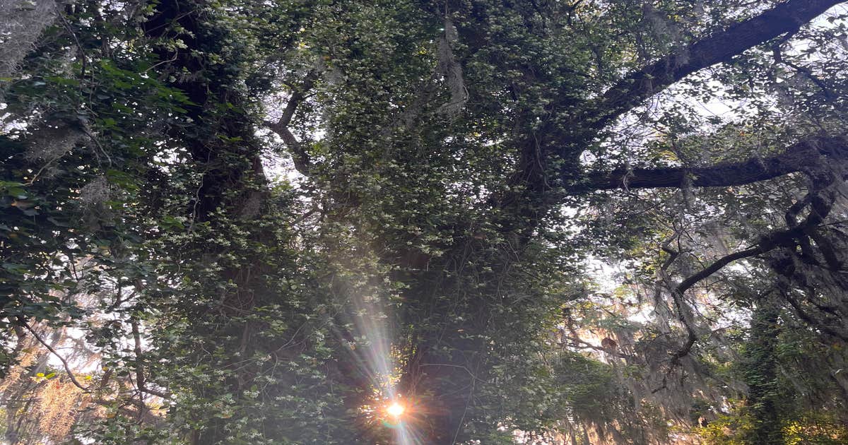 Page Compound Camping | Fernandina Beach, Florida