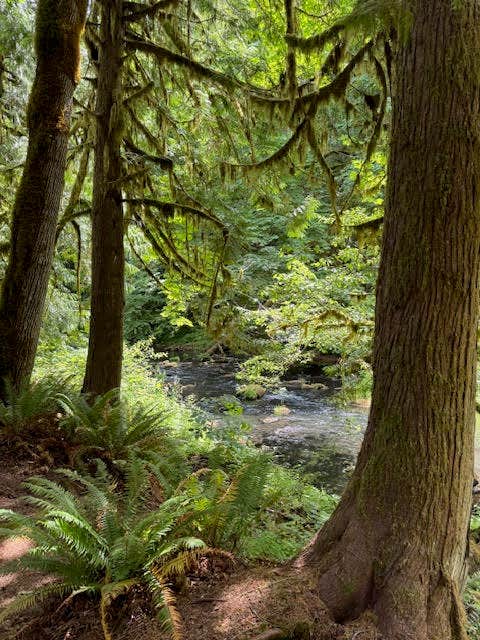 Creekside Retreat at Triangle Lake Camping | Blachly, Oregon