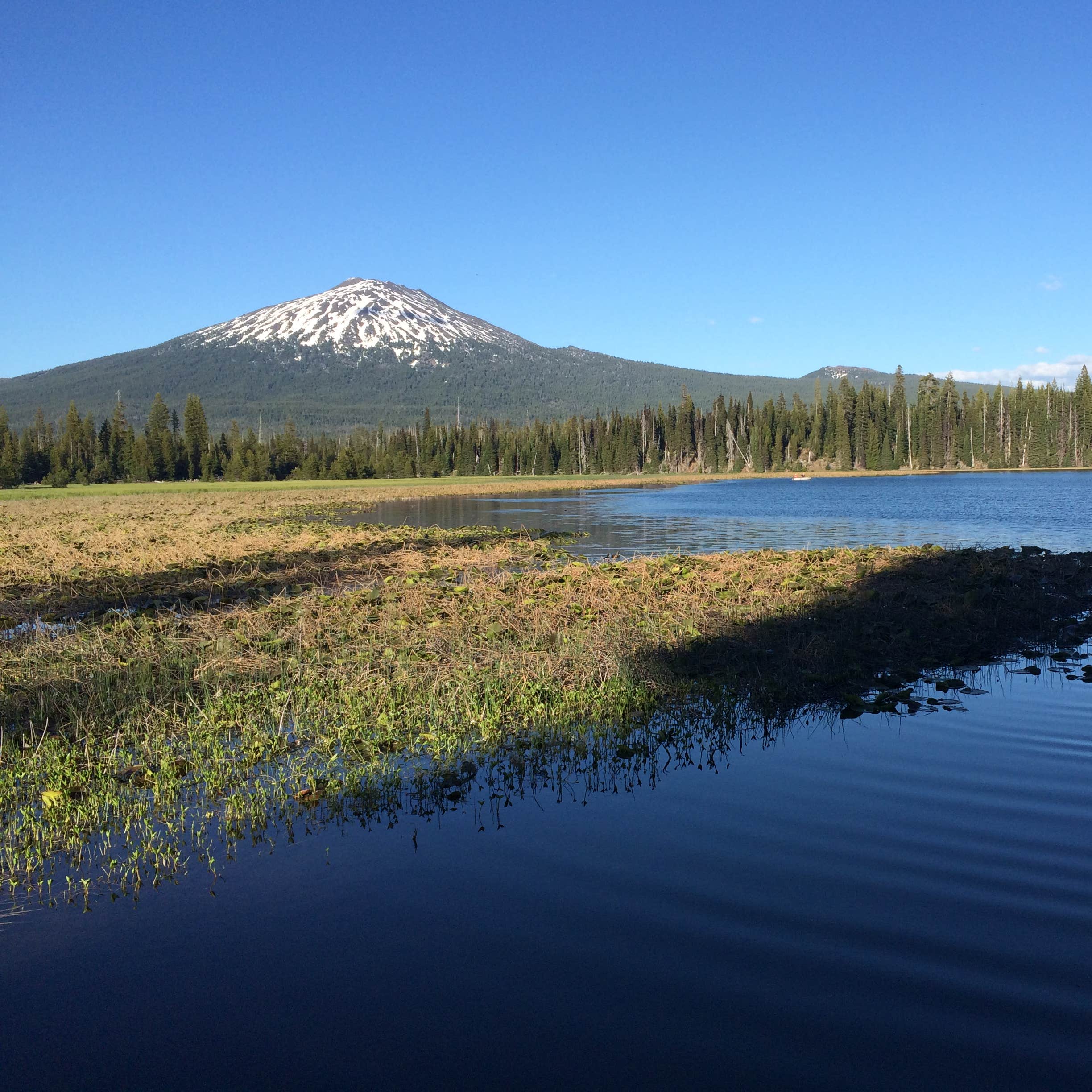 South Campground - Hosmer Lake (OR) | Bend, OR