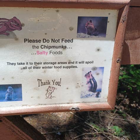 Natural Bridge Campground | Prospect, Oregon