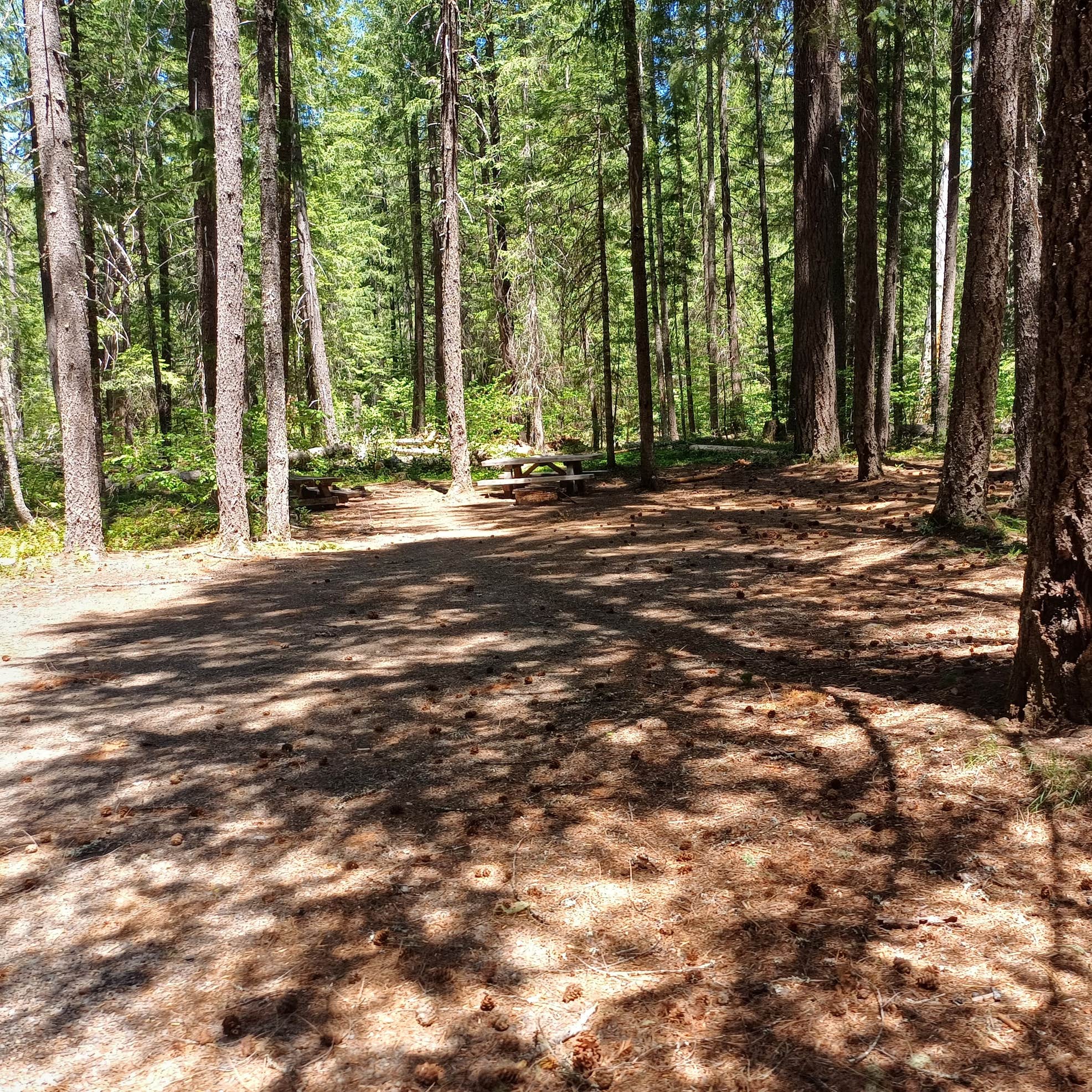 Natural Bridge Campground | Prospect, Oregon