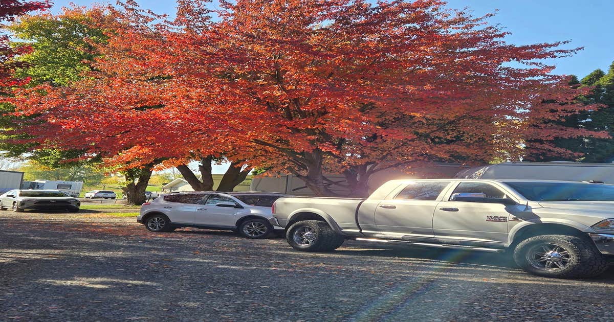 Camper-Submitted Photos of Oasis RV Park