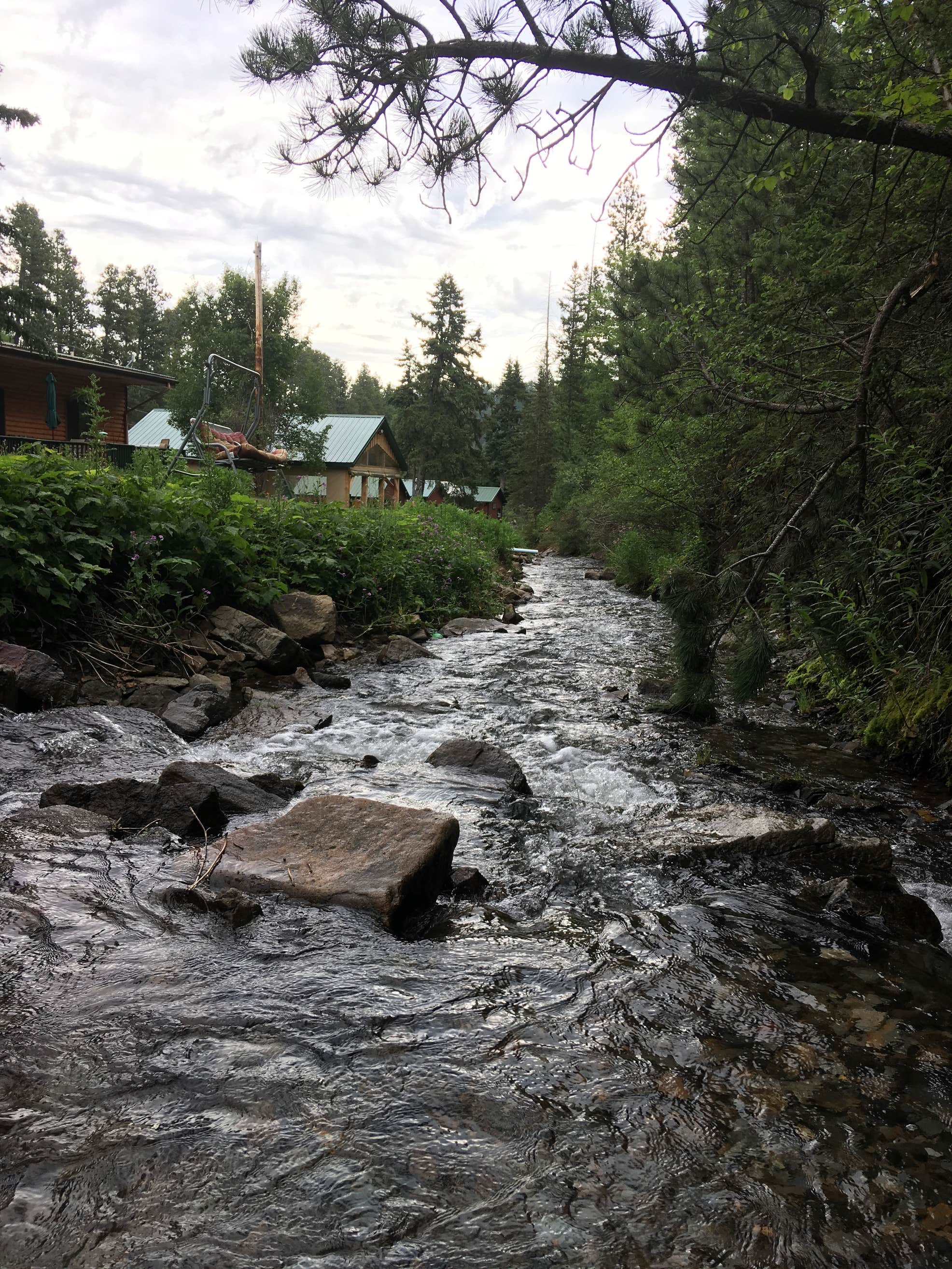 Whitetail Creek Resort Camping | The Dyrt