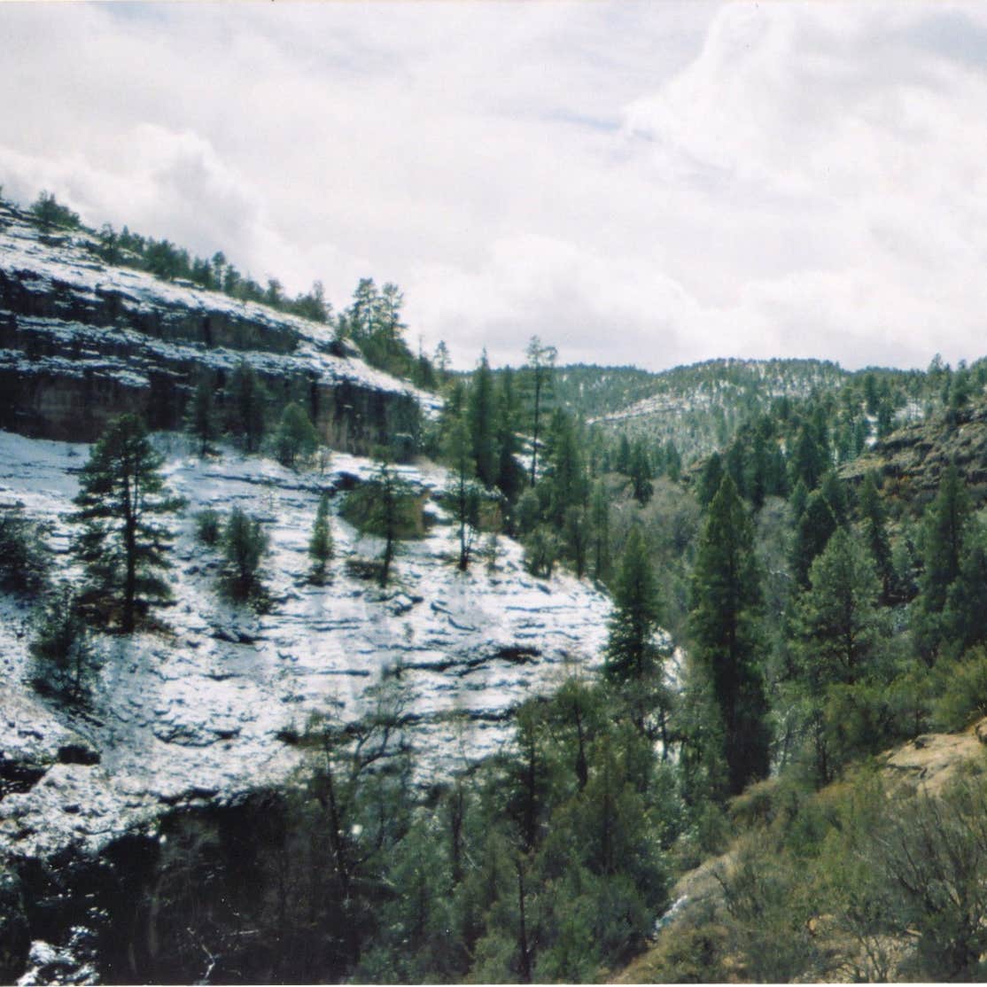 Gila Hot Springs Campground Camping | Mimbres, NM | The Dyrt